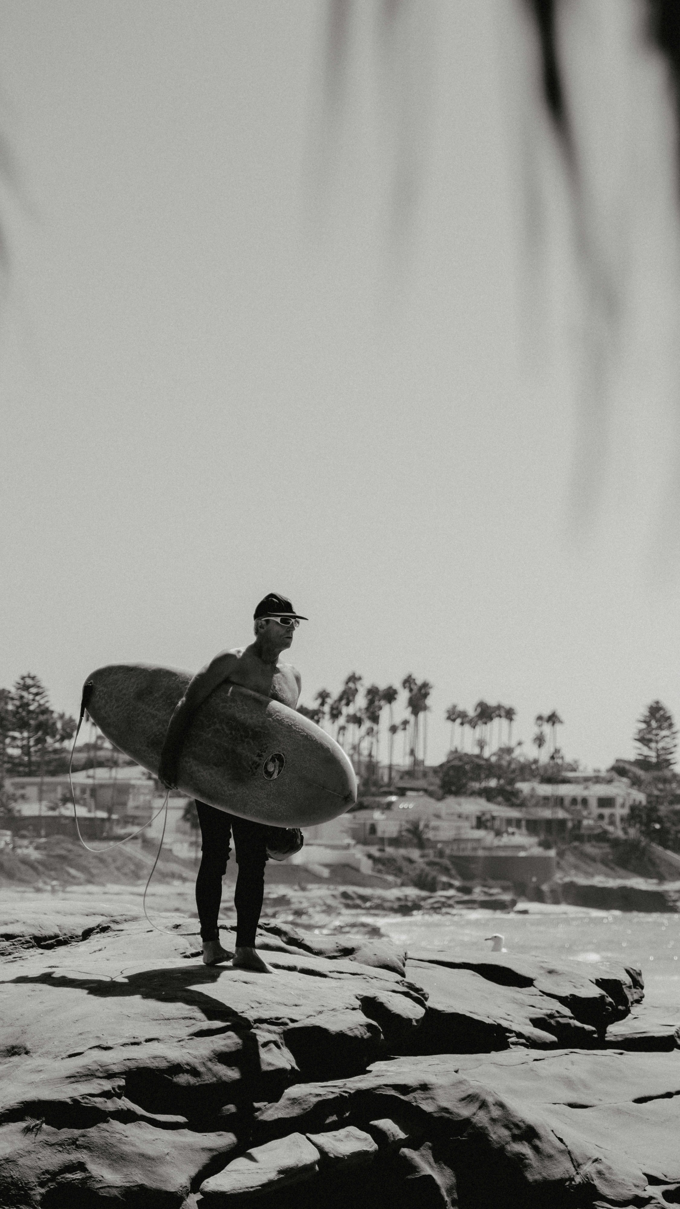 Solitary Surfer on the Edge: A Quiet Coastal Stance
