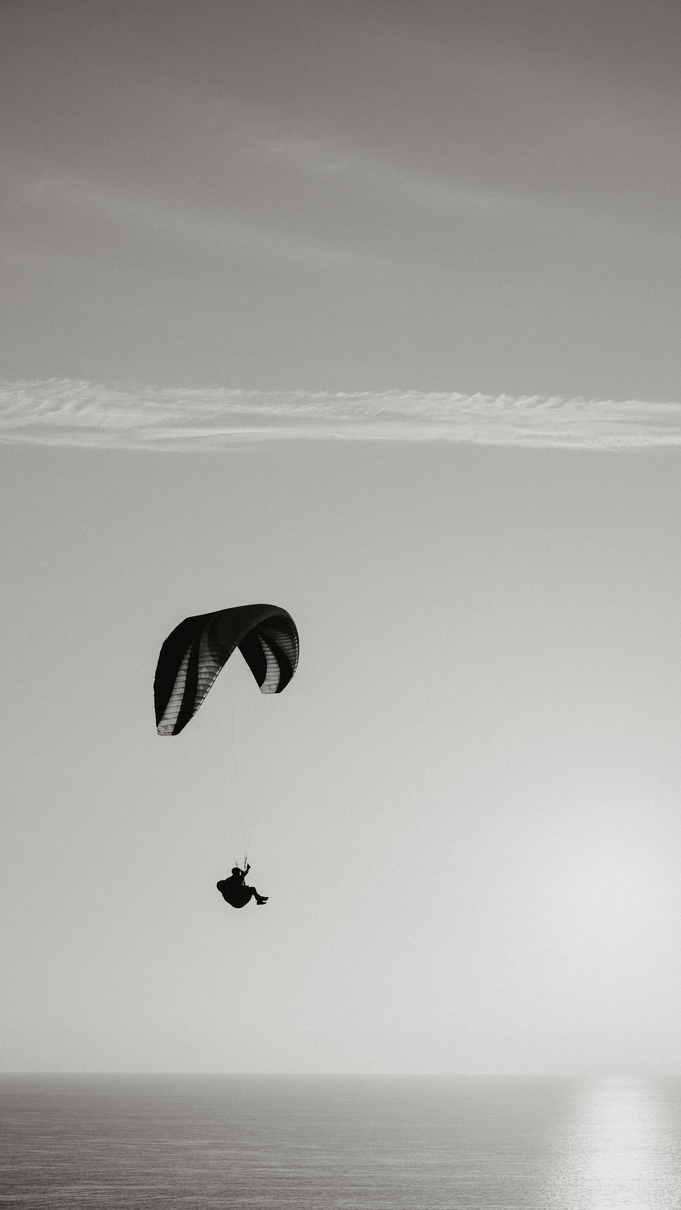 Winged Silhouette Over the Quiet Sea