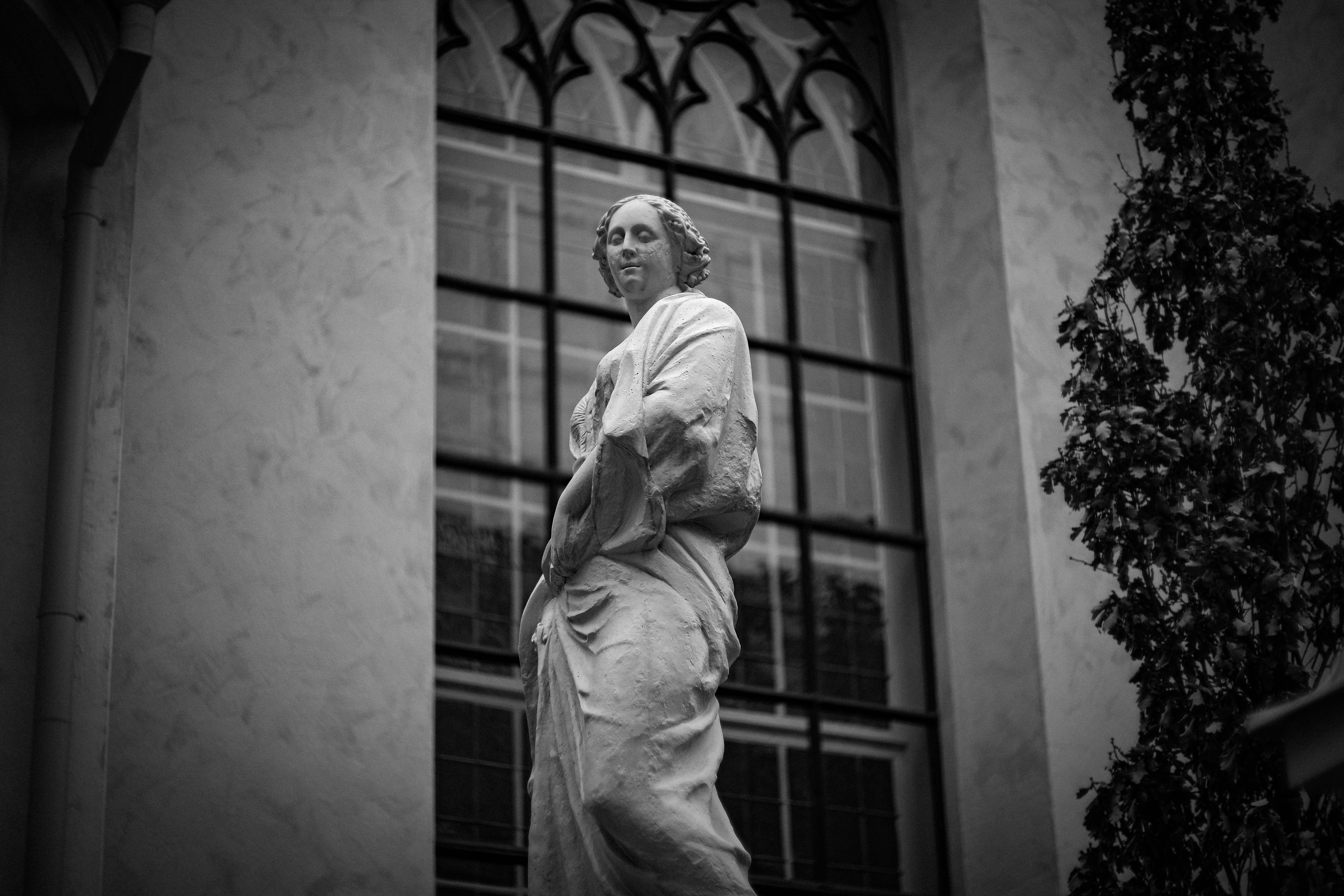Stone Sentinel: A Classical Statue Framed by Cathedral-like Windows