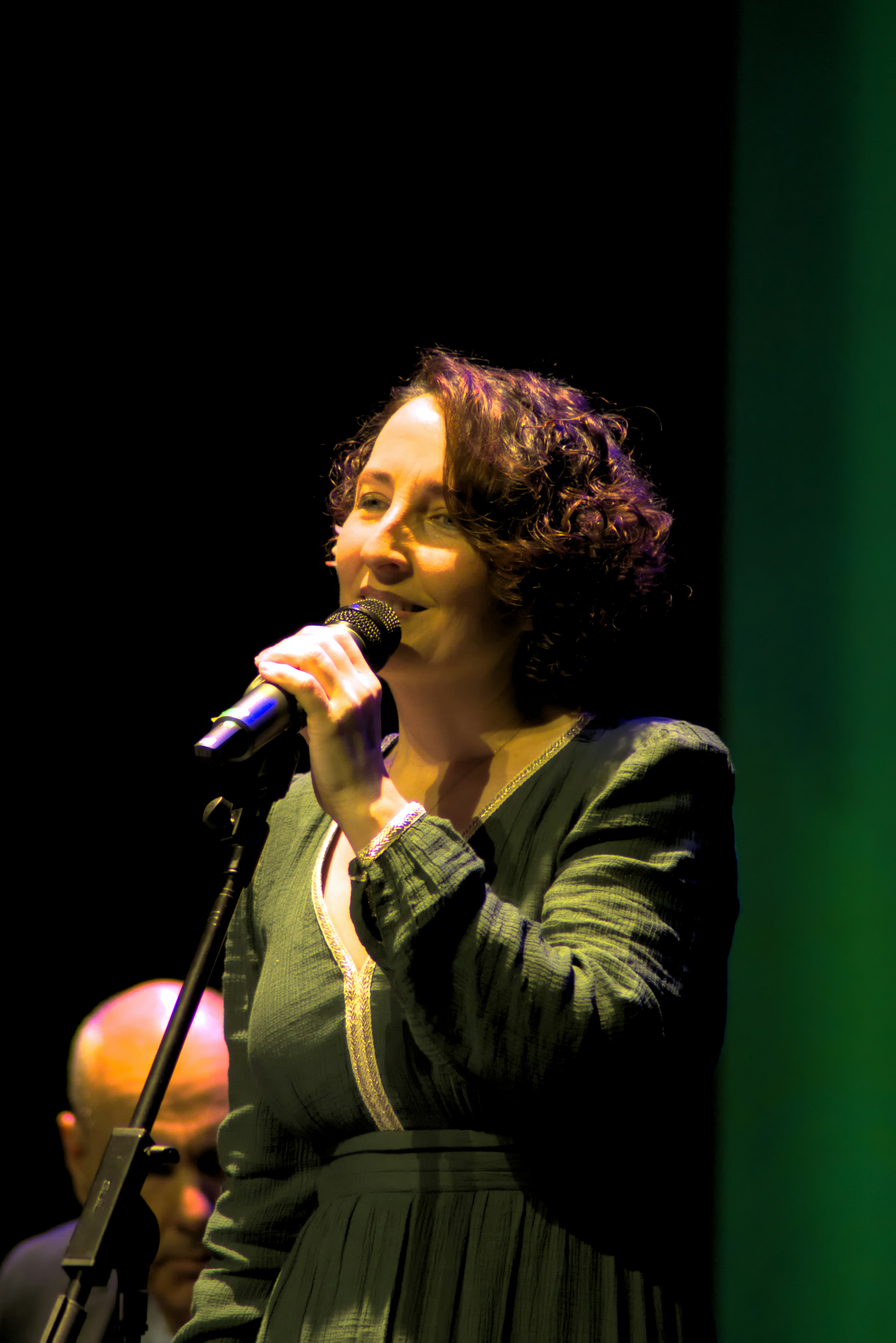 Mid-Stage Portrait: A Vocalist in Warm Spotlight