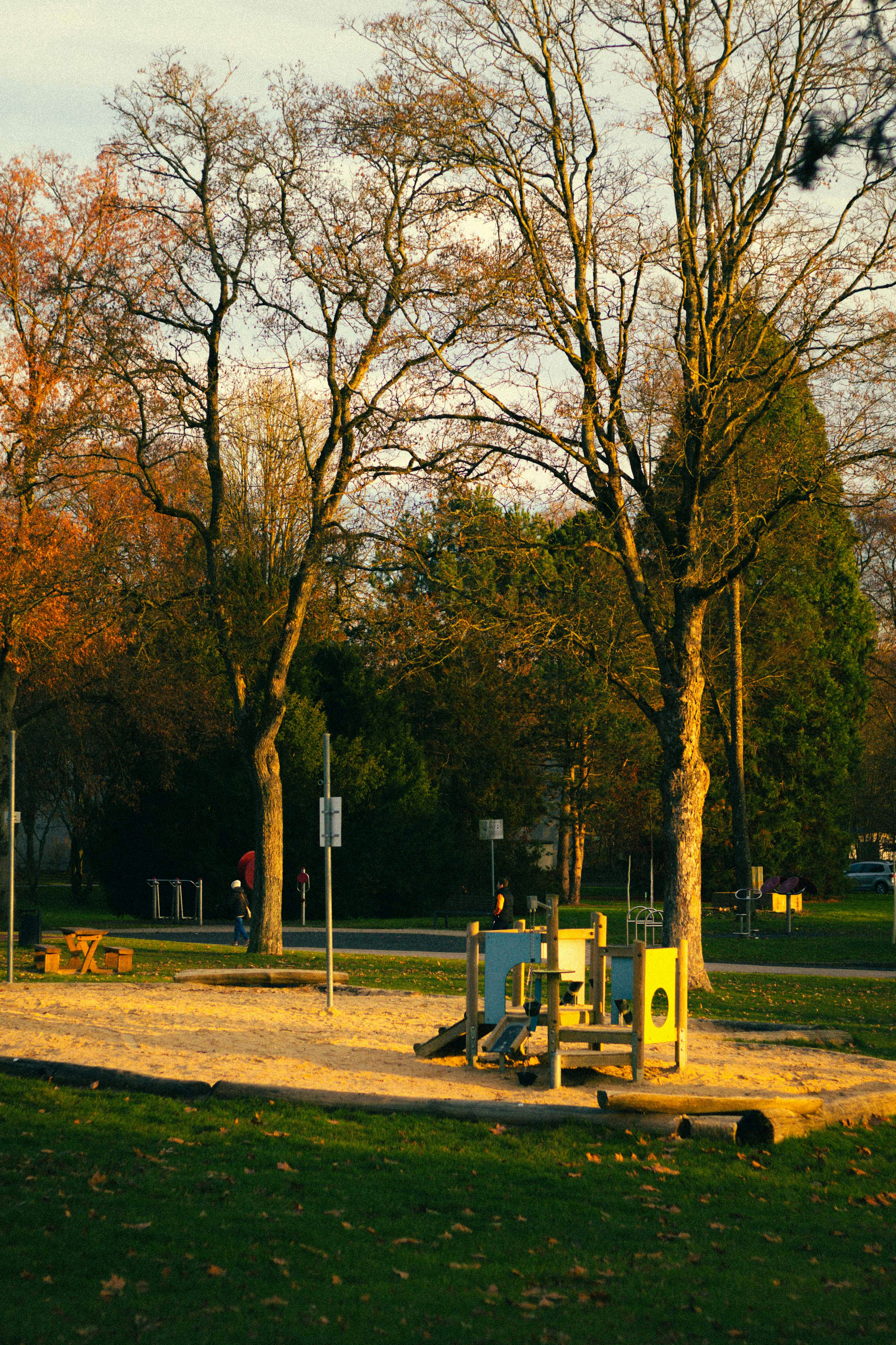 Late-afternoon Orchard Park Playground bathed in warm light