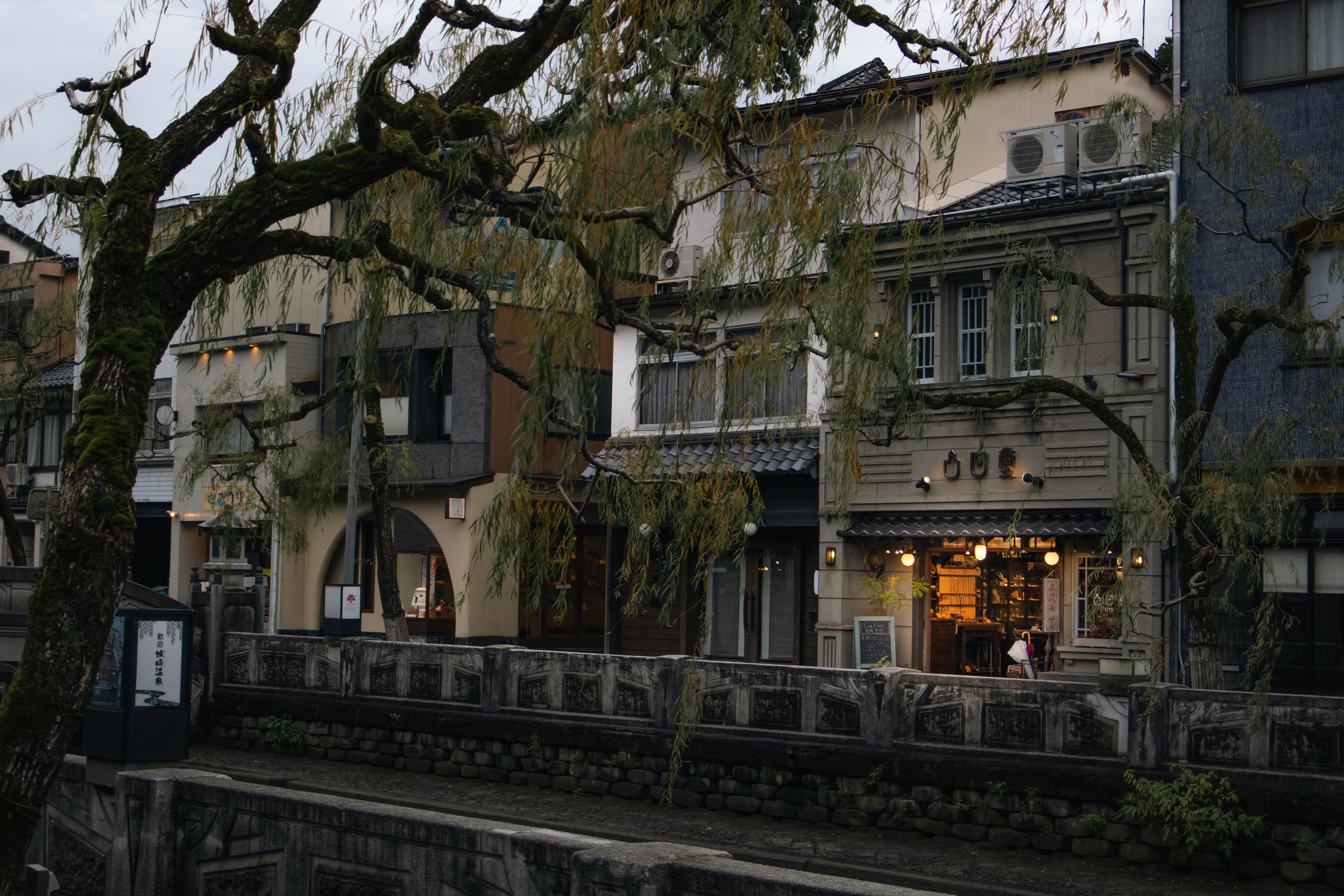 Quiet Riverside Shopfronts Under Bare Willow Branches