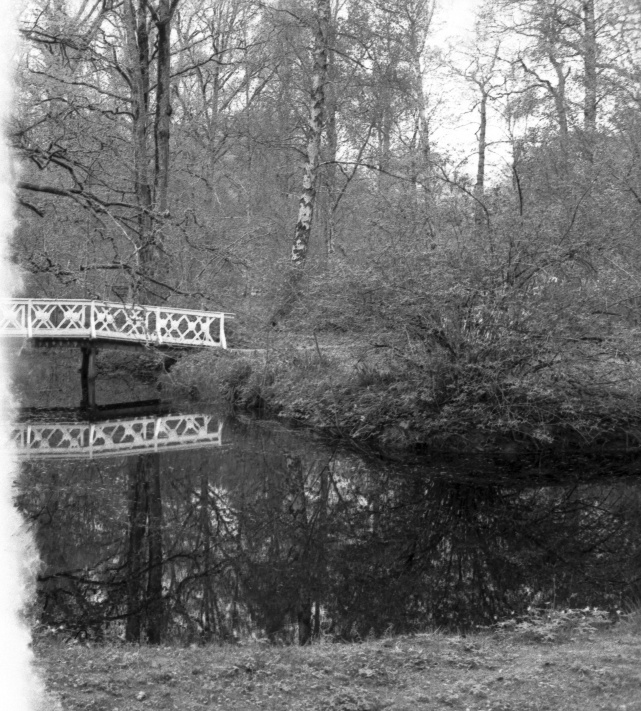 Bridge over still waters: a monochrome autumn in the park