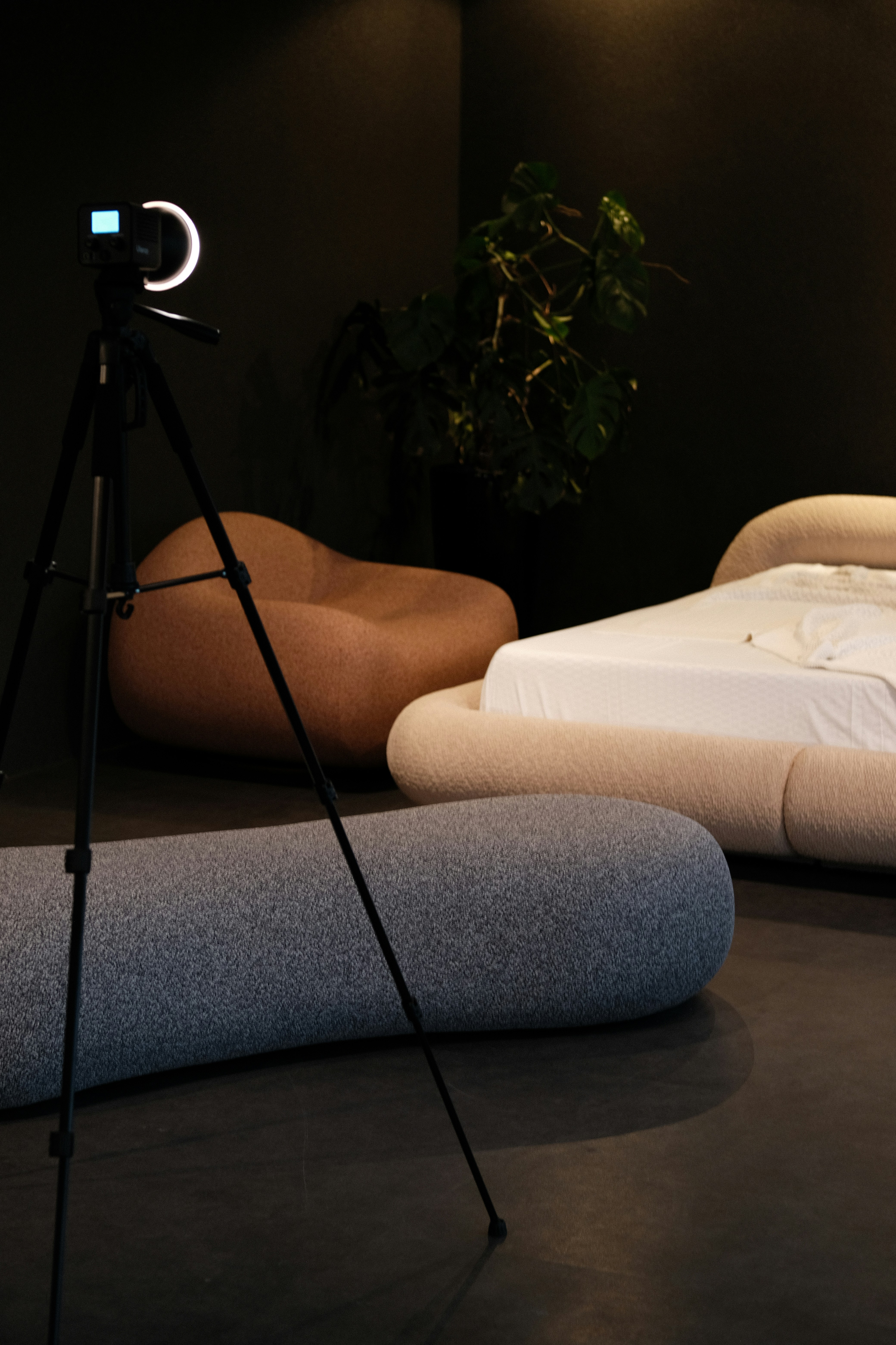 Studio Silence: A Ringed Light Beside a Plush Lounge