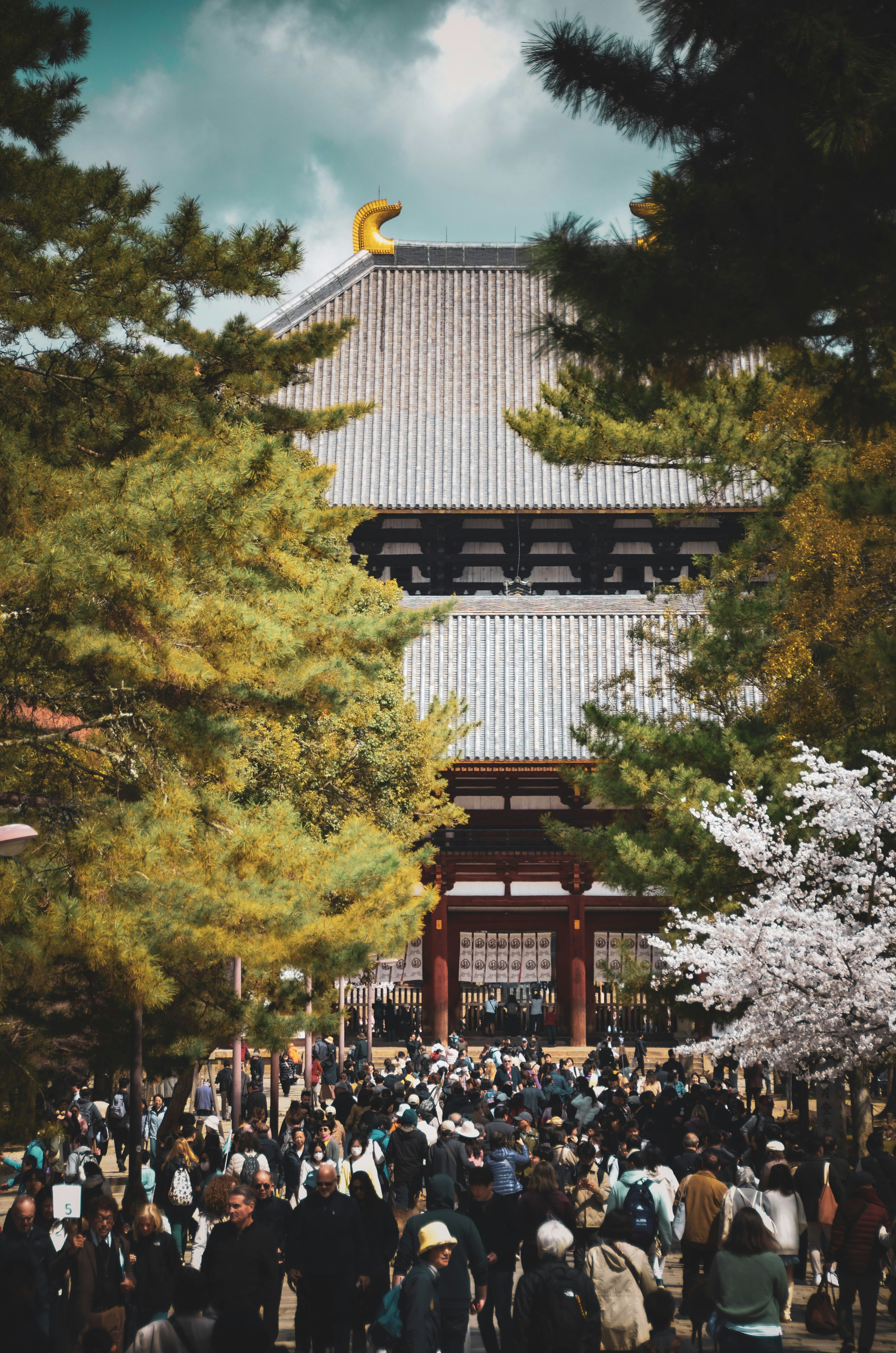 Crowds at the Gate: Autumn Light Framing a Temple Action