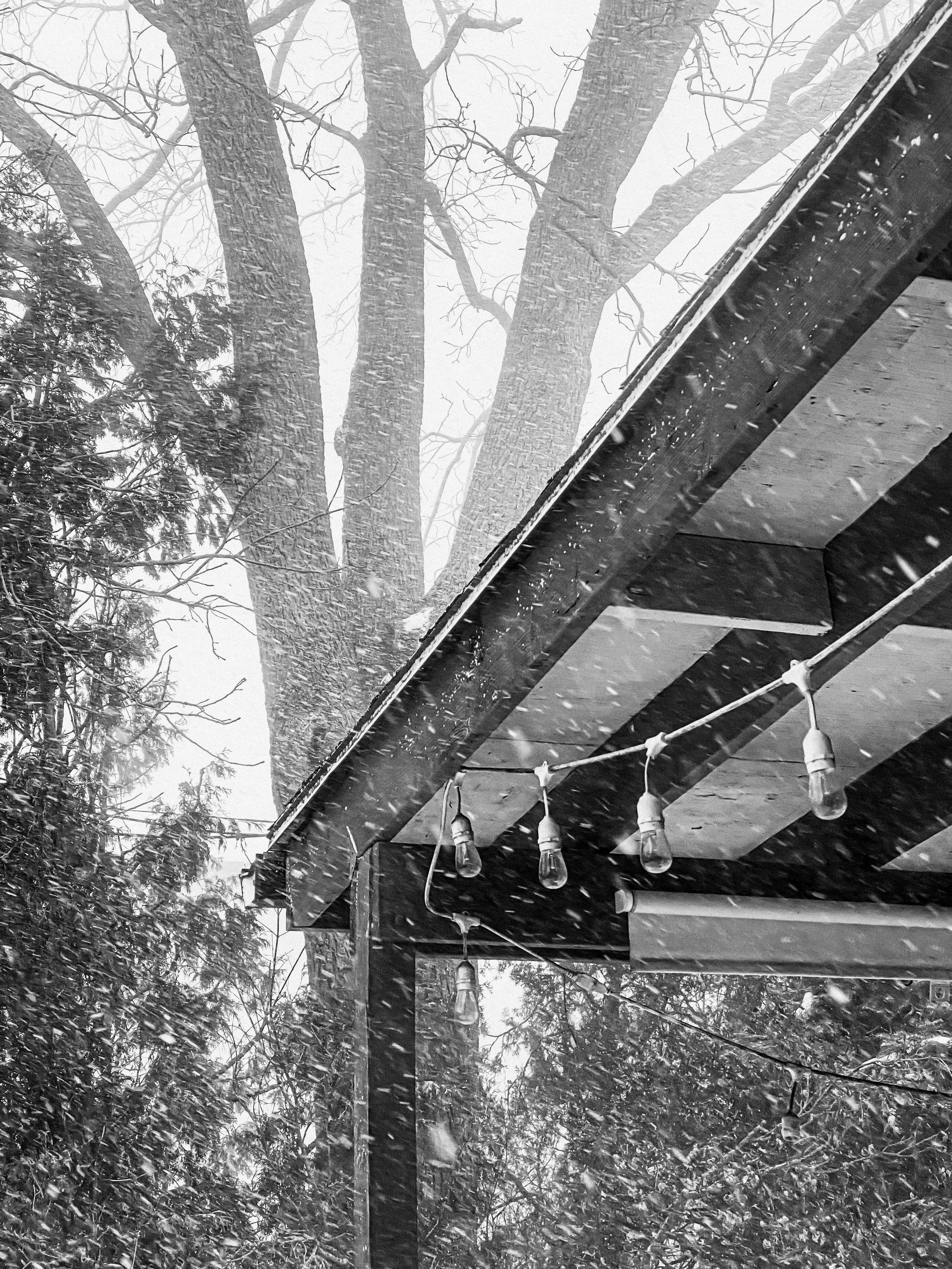 Snowy eaves and string lights: a quiet winter moment under the roofline