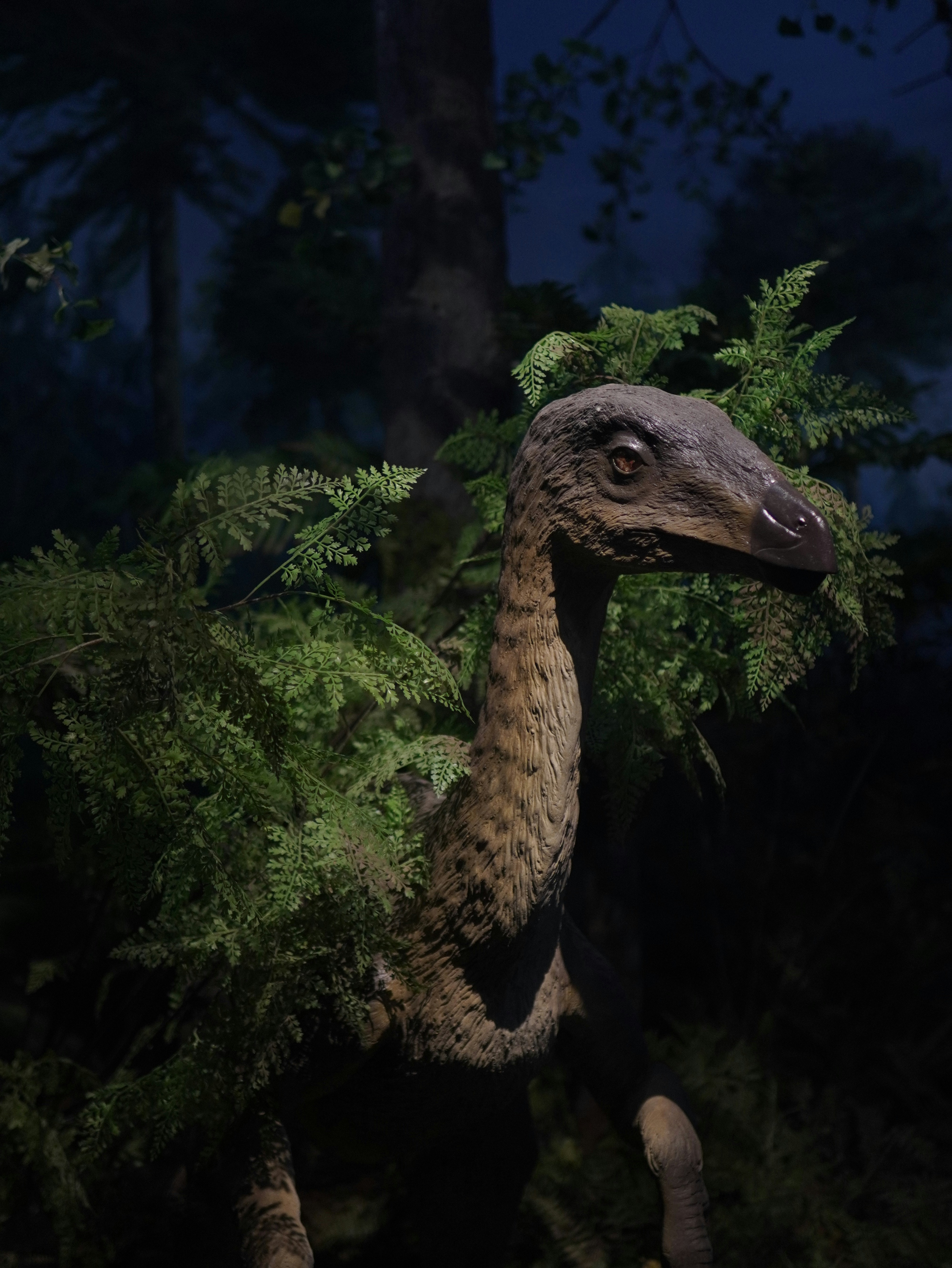 Midnight Guardian: A Fern-Clad Beaked Heron Emerges from the Night