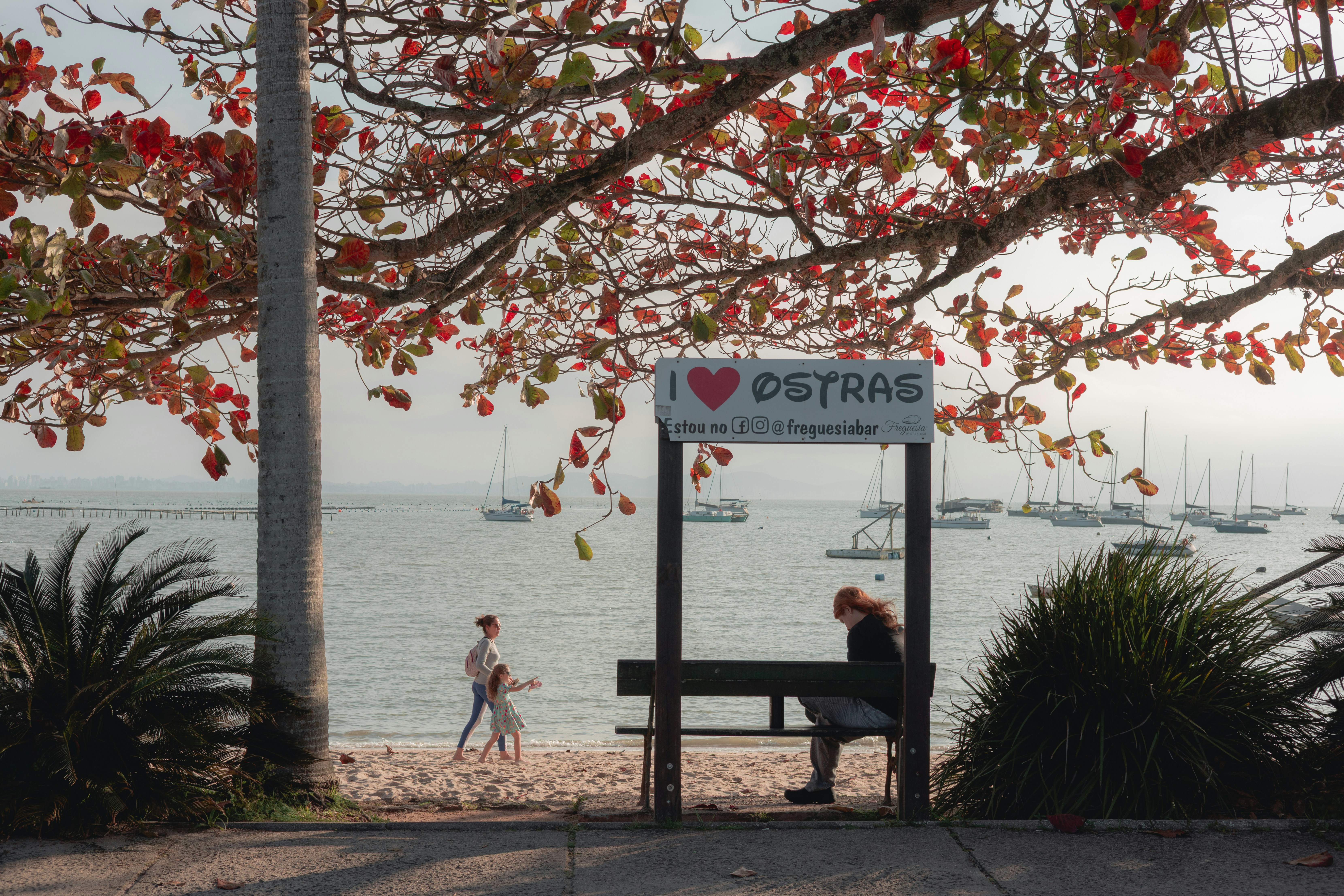 Love Seat at the Marina: A Quiet Moment under Autumn Leaves