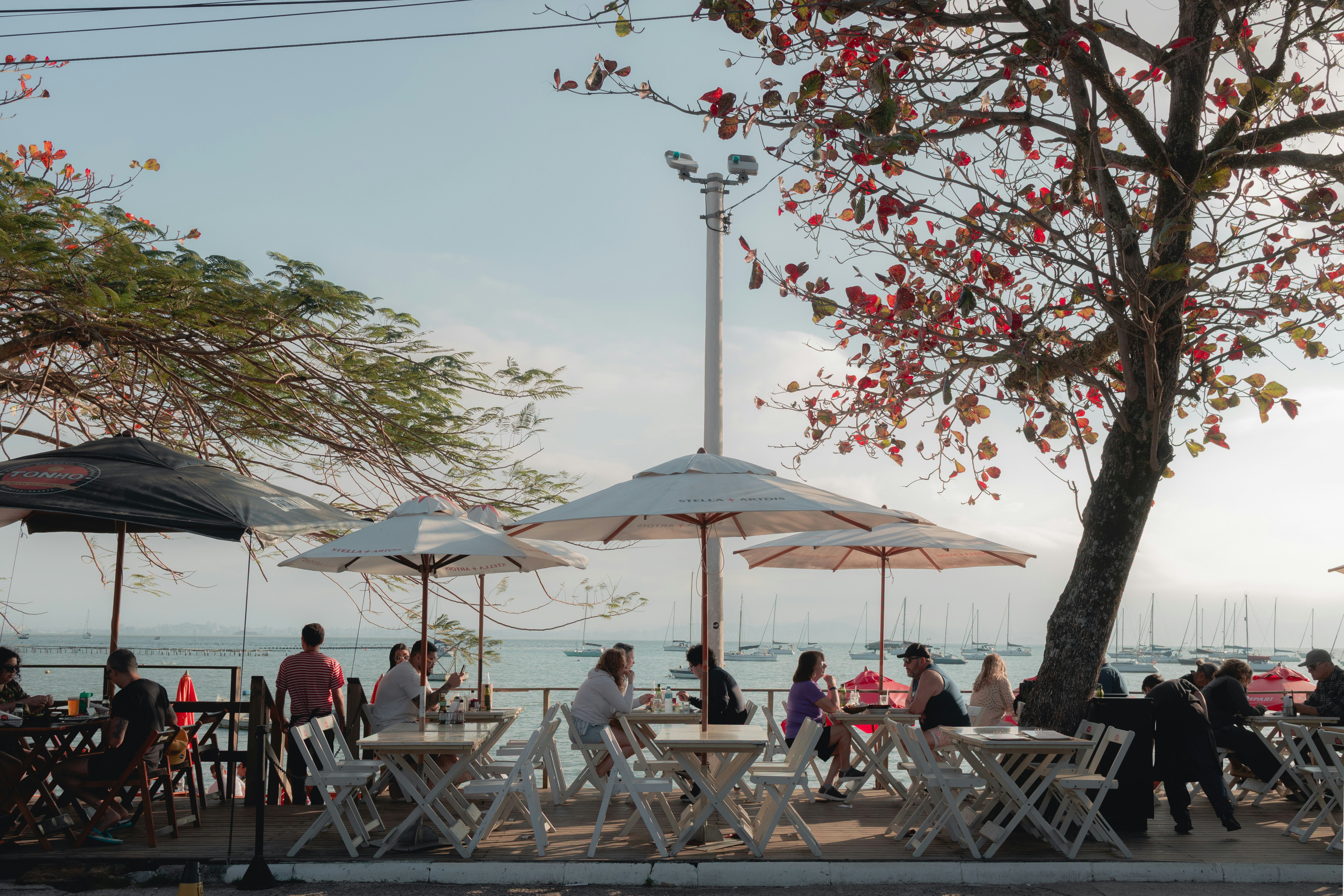 Seaside Café Under Umbrellas at Dusk