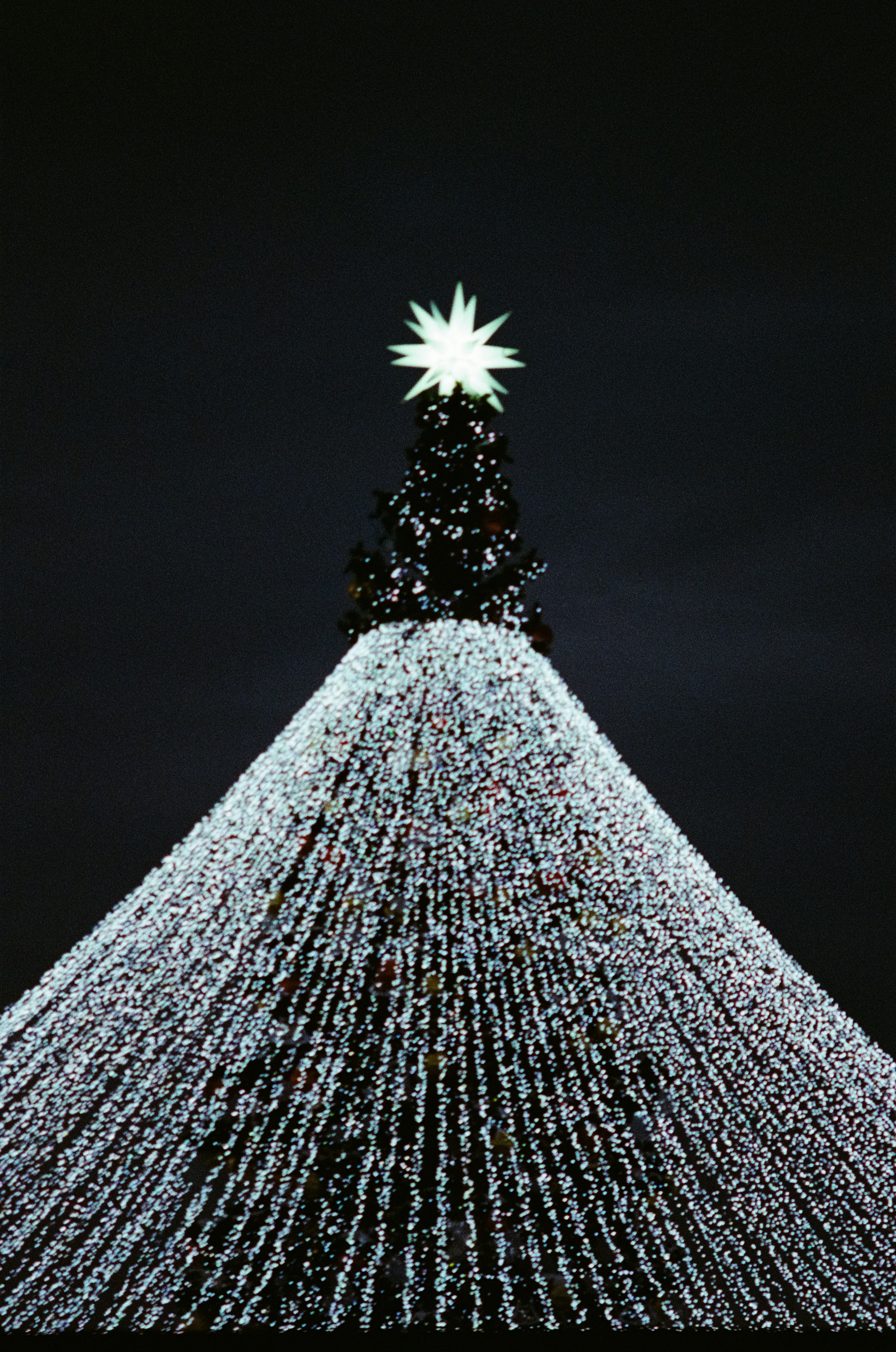 Film: ISO 400 (+2 stops push) | Lens: Takumar 200mm f/4.0