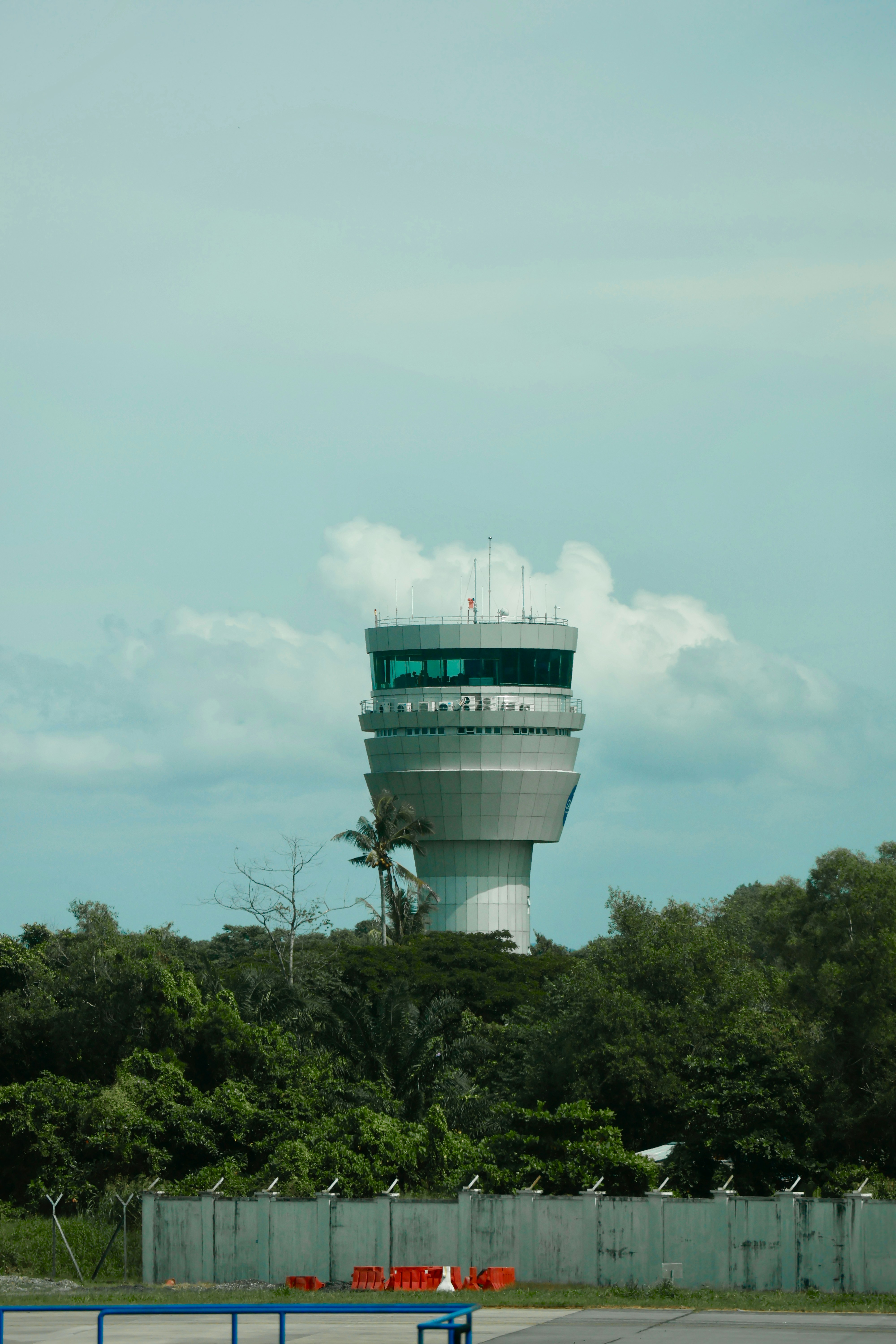 Watchtower Rise: A Quiet Sentinel Over Green Canopy
