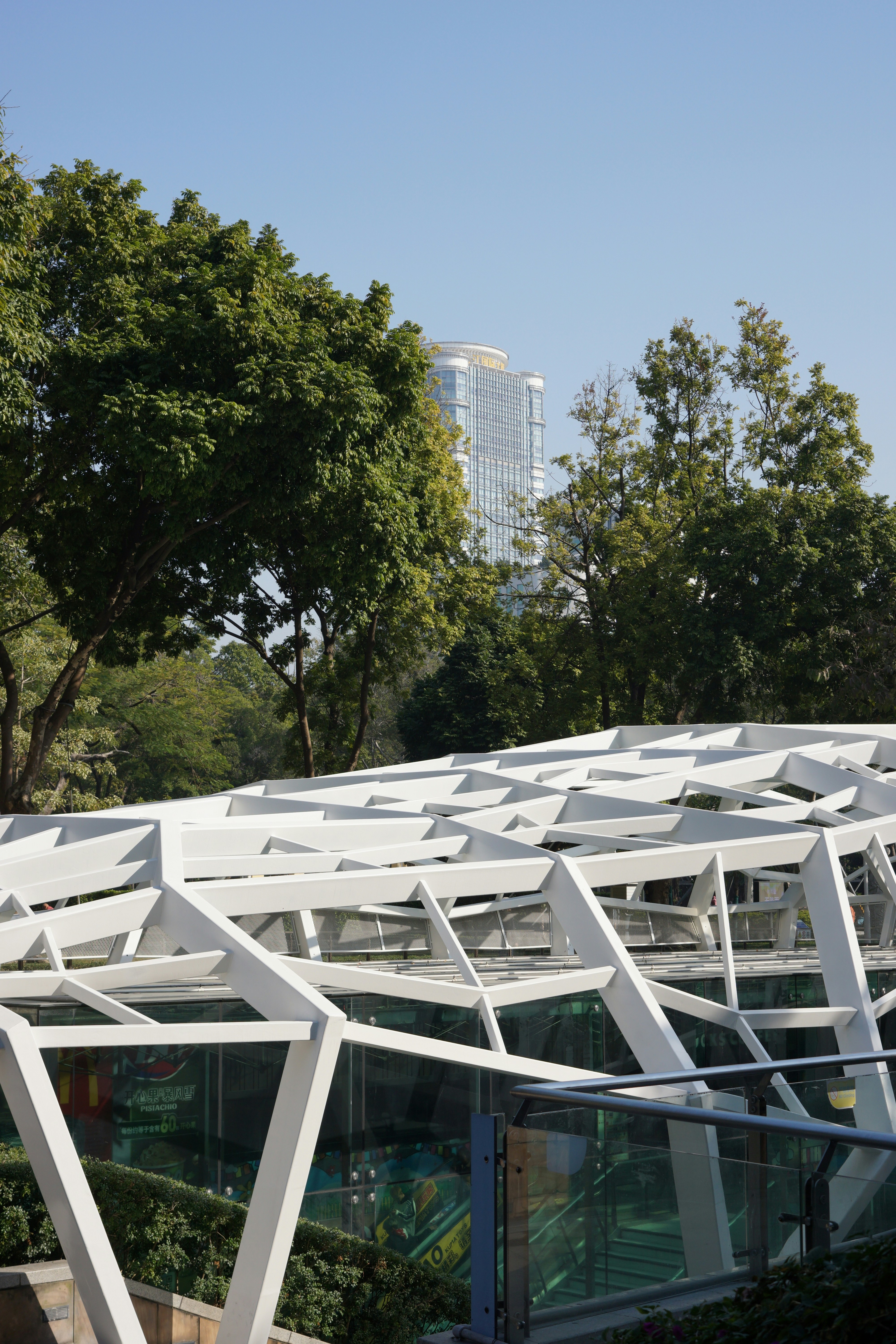 Geometric canopies meet a soaring skyline