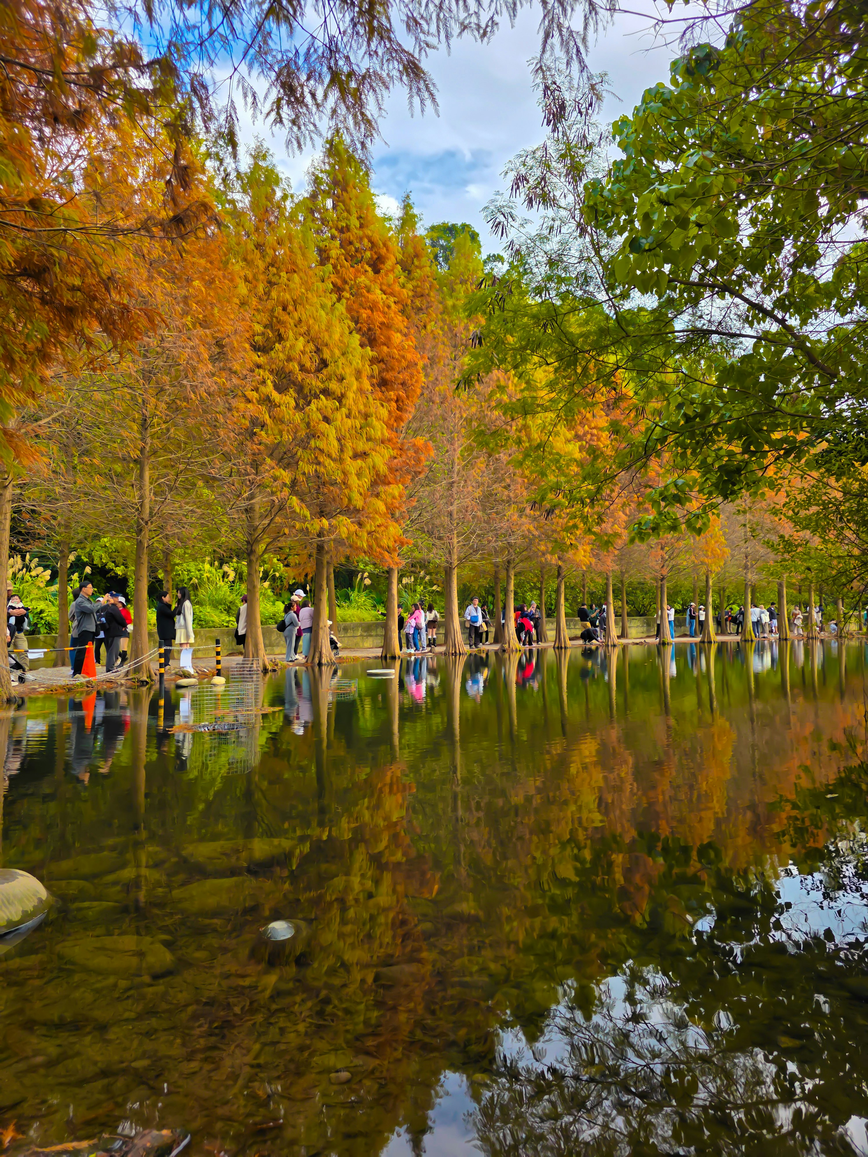 Autumn Echoes on the Lake Margin