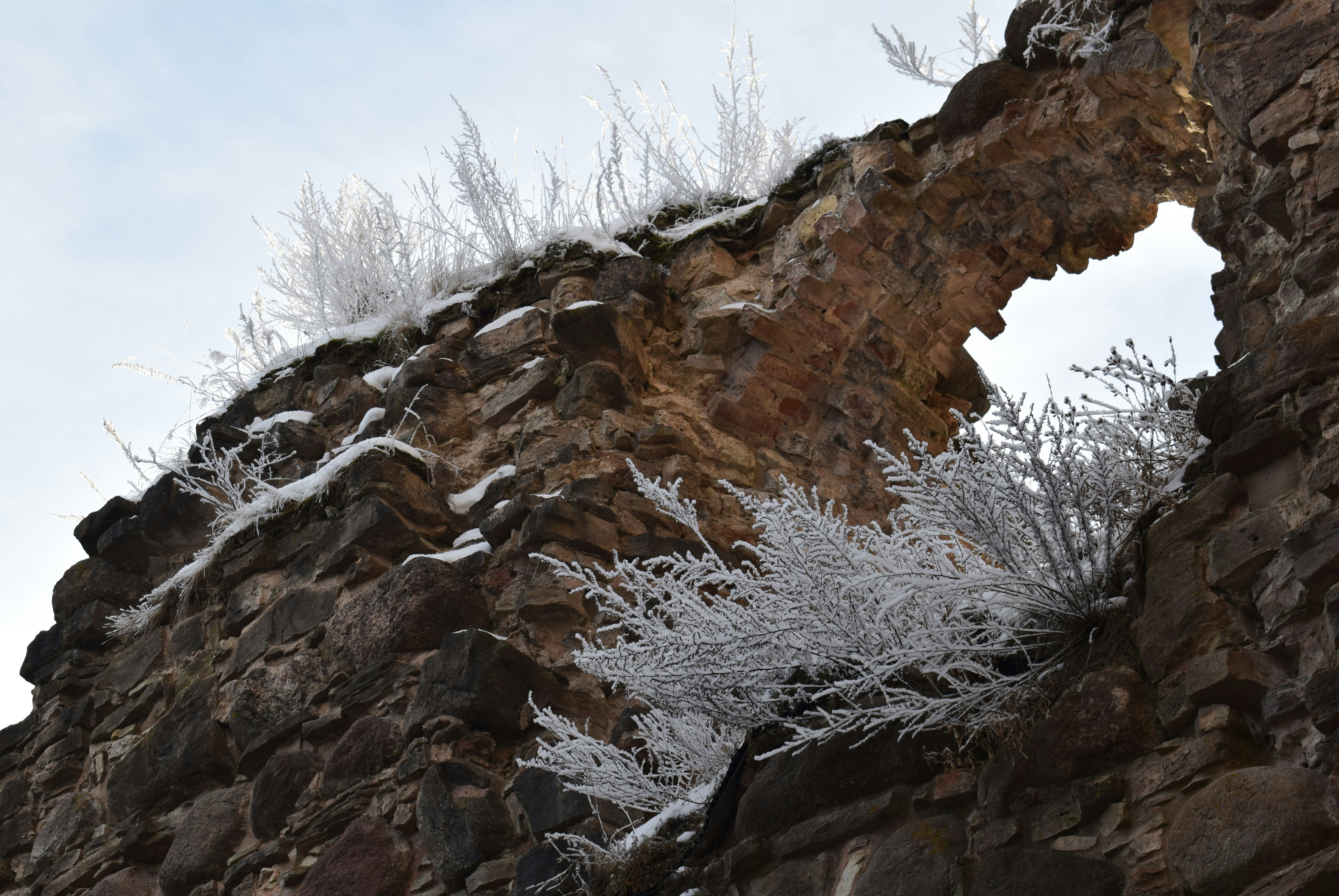 Stone ruins covered in frost and dry grass photo – Free Winter Image on ...