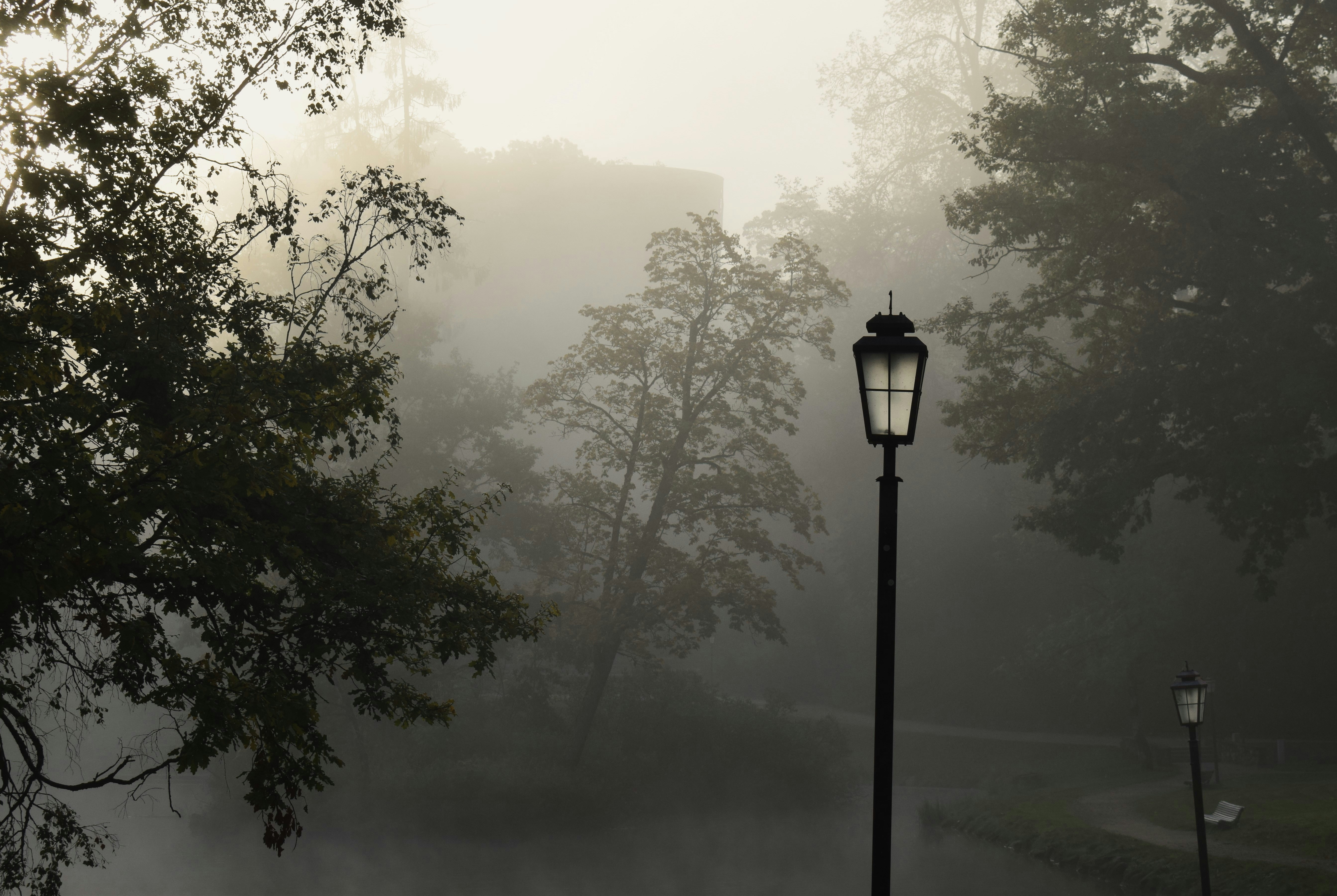 Fog-Lit Pathway: A Quiet Evening by the Lantern