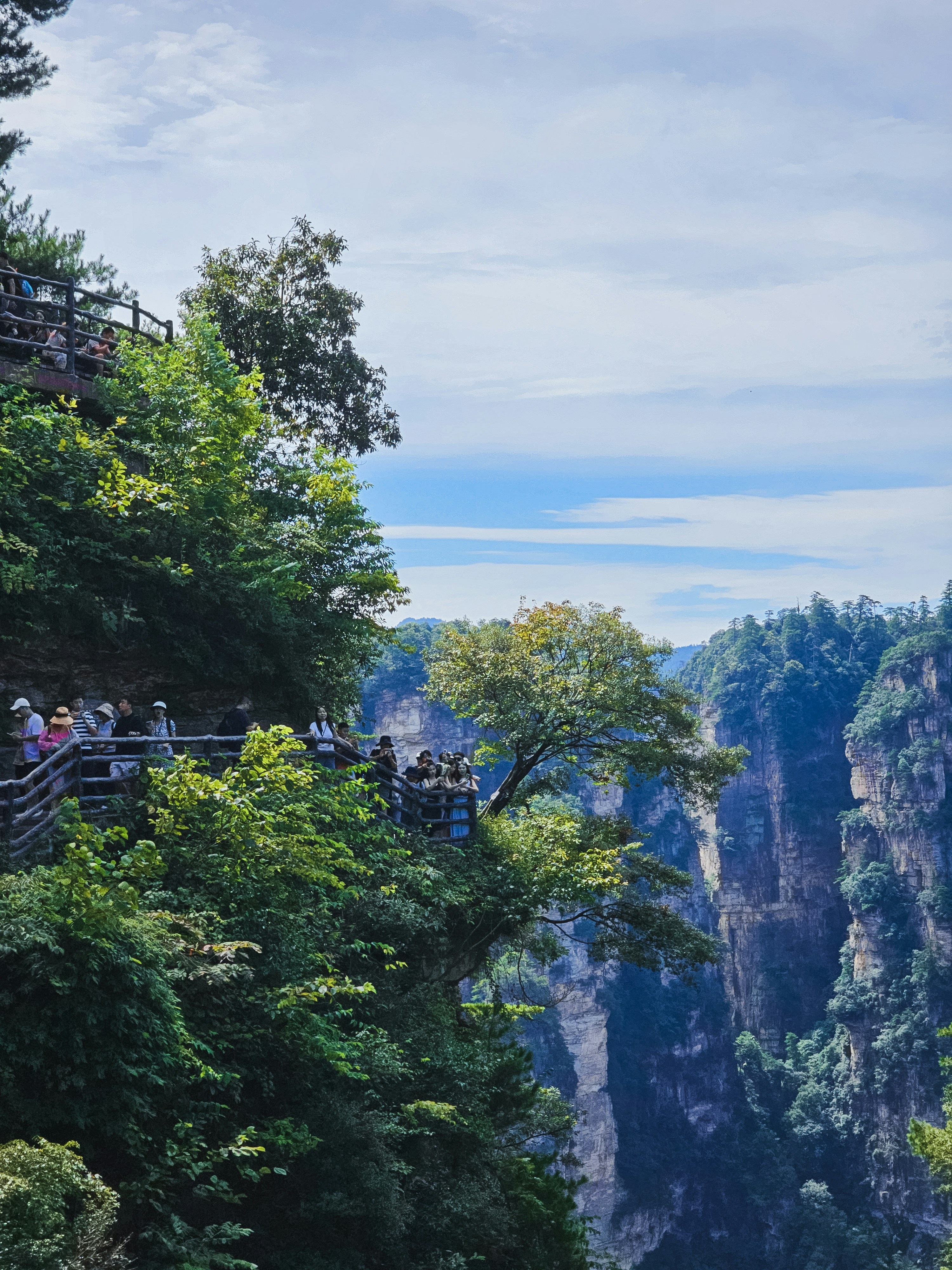 Wooded overlook over a deep gorge with a viewing platform and visitors