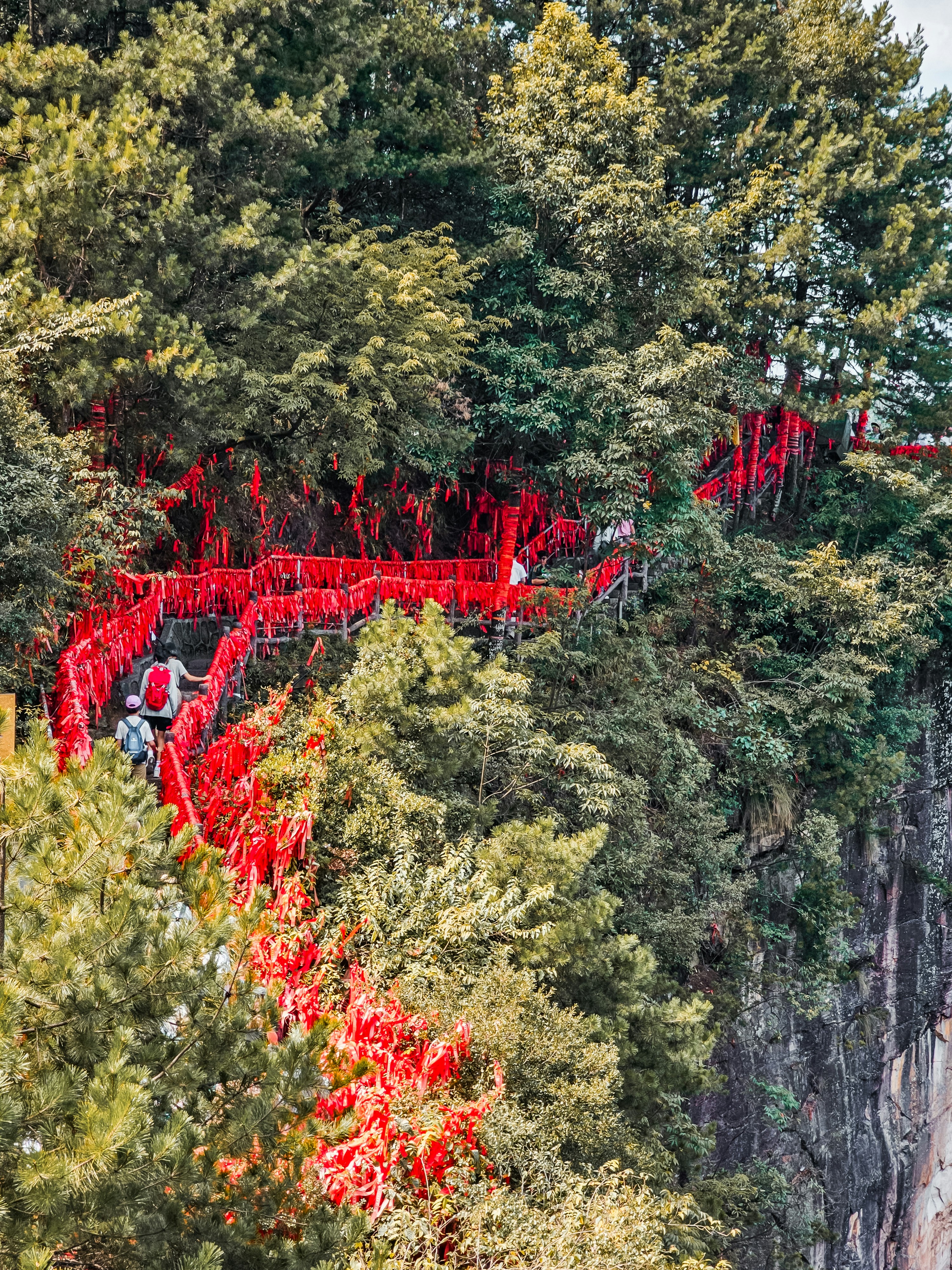 Crimson Ribbon Path along a Cliff