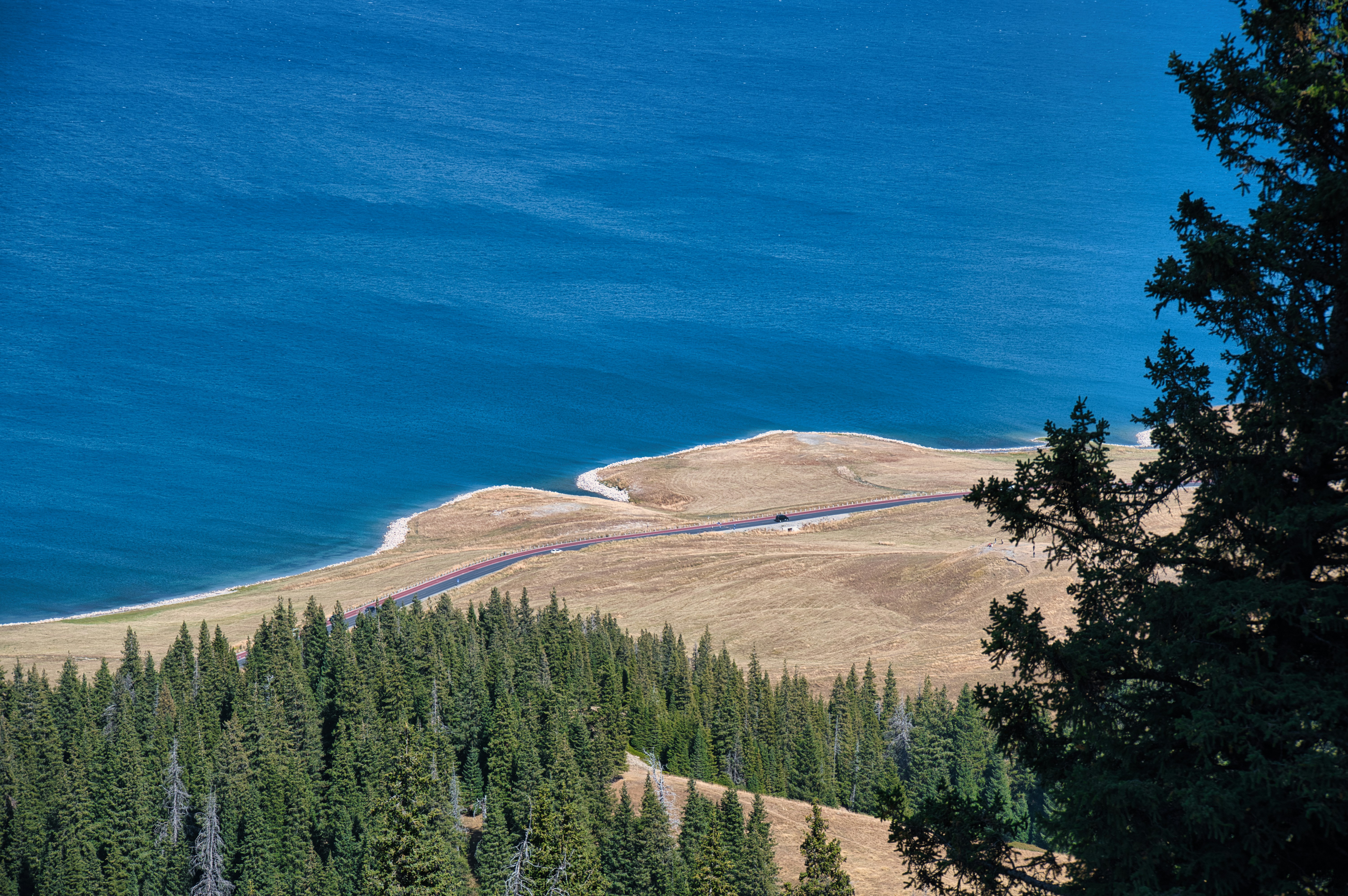 Lakeside Ridge: A Shaped Coastline Above Pine Hills