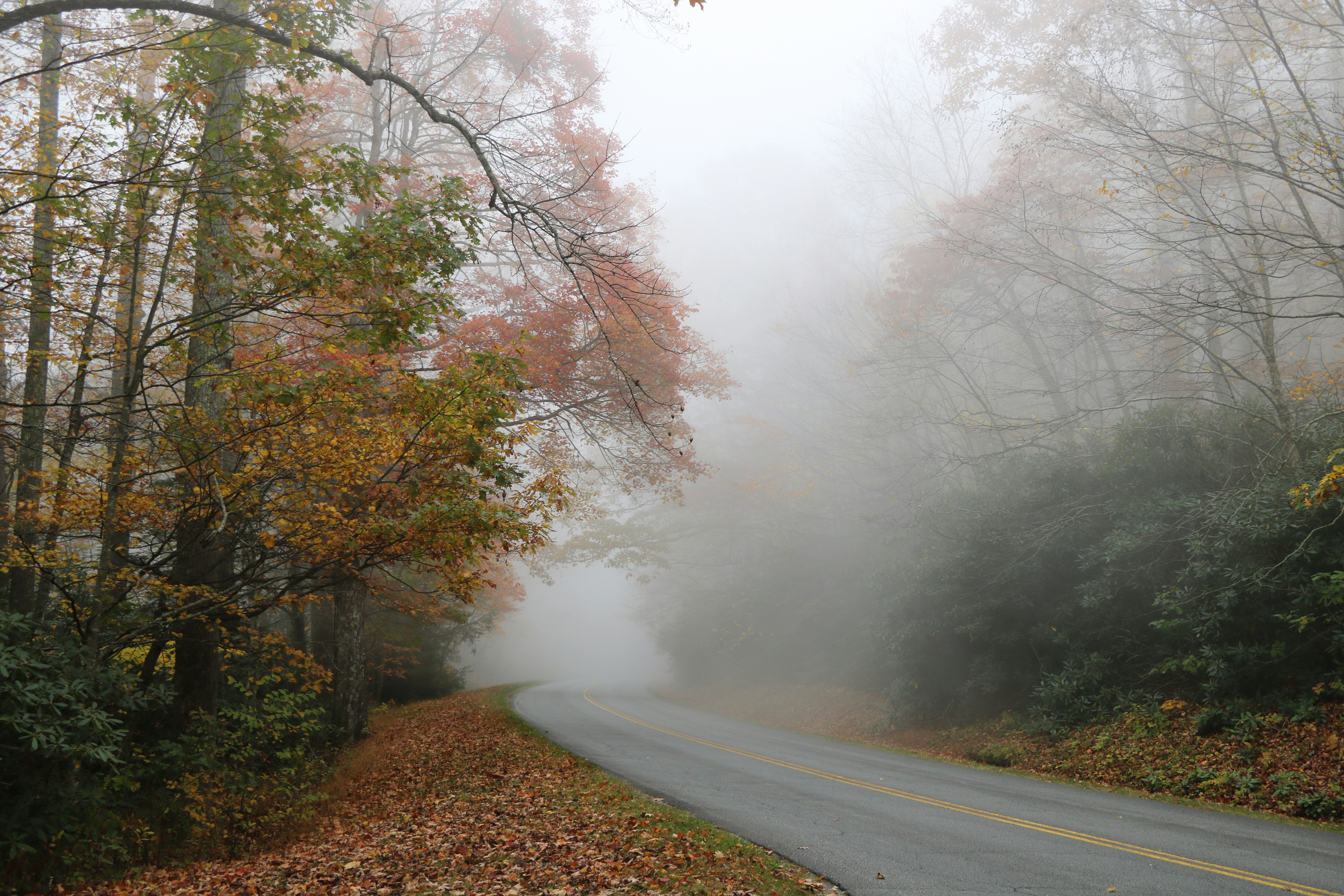 Delhi NCR Weather Update: Cold wave grips national capital after rain ...