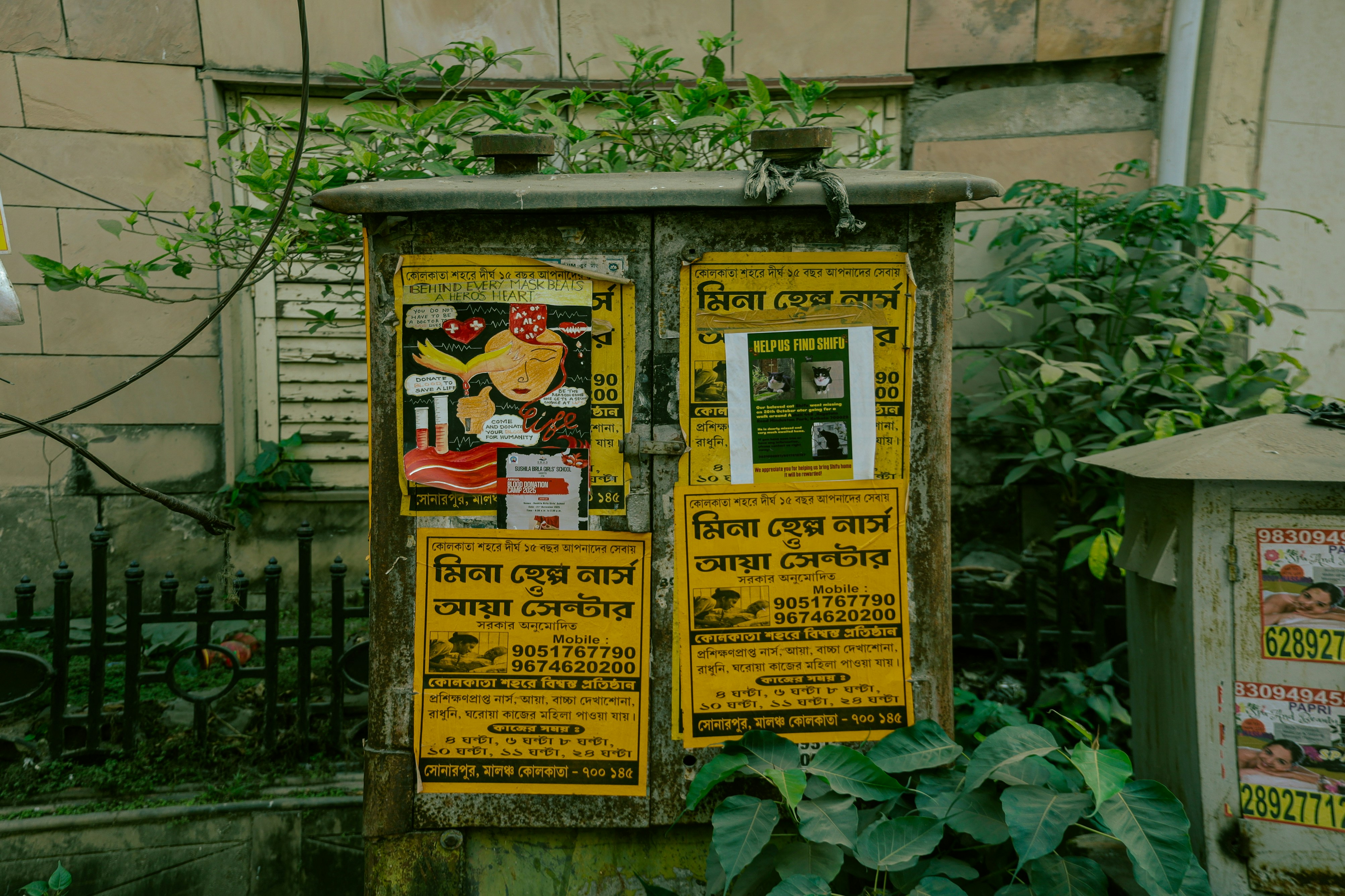 Yellow Posters on a Mossy Community Notice Board