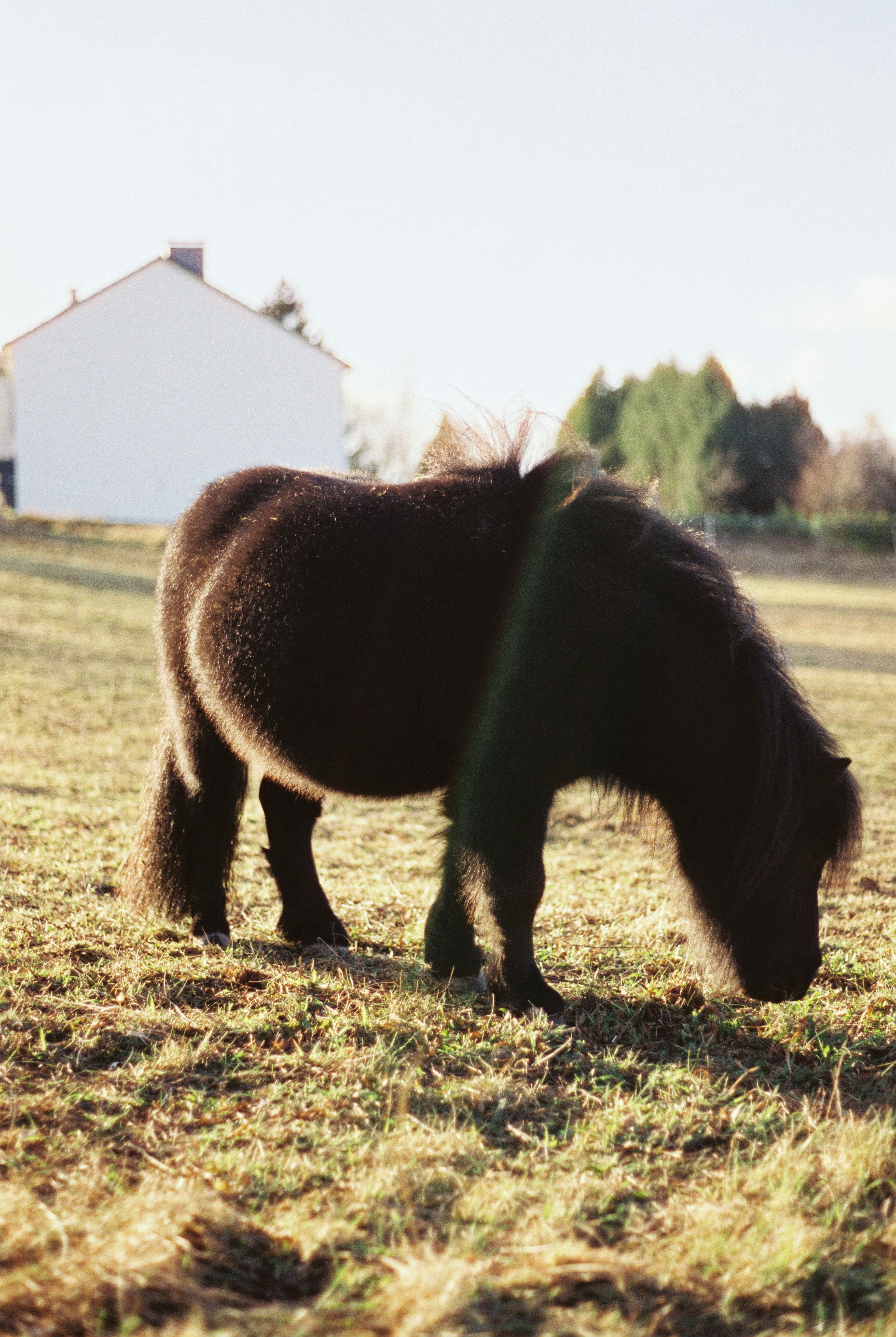 Shot on CineStill 400D
