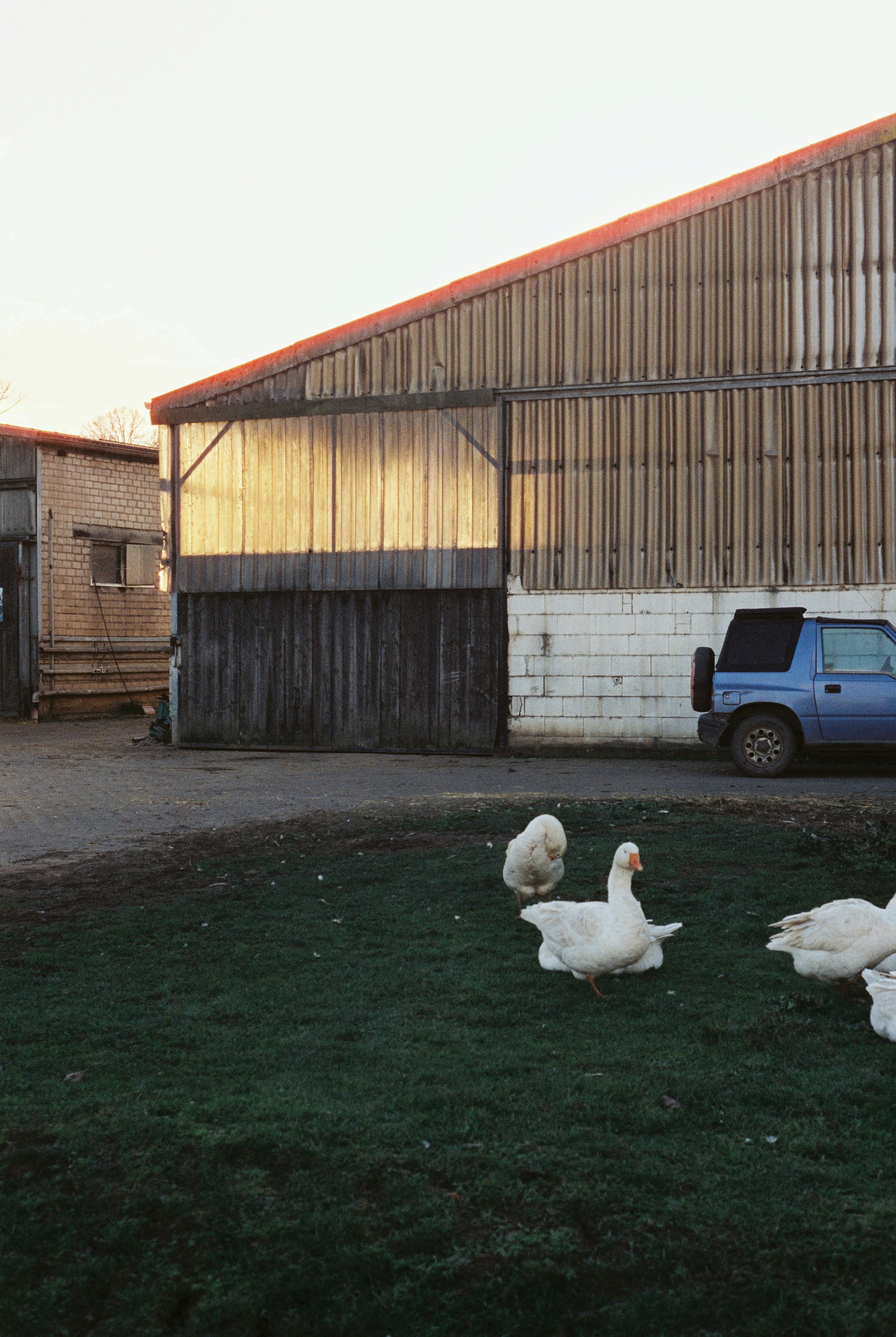 Shot on CineStill 400D