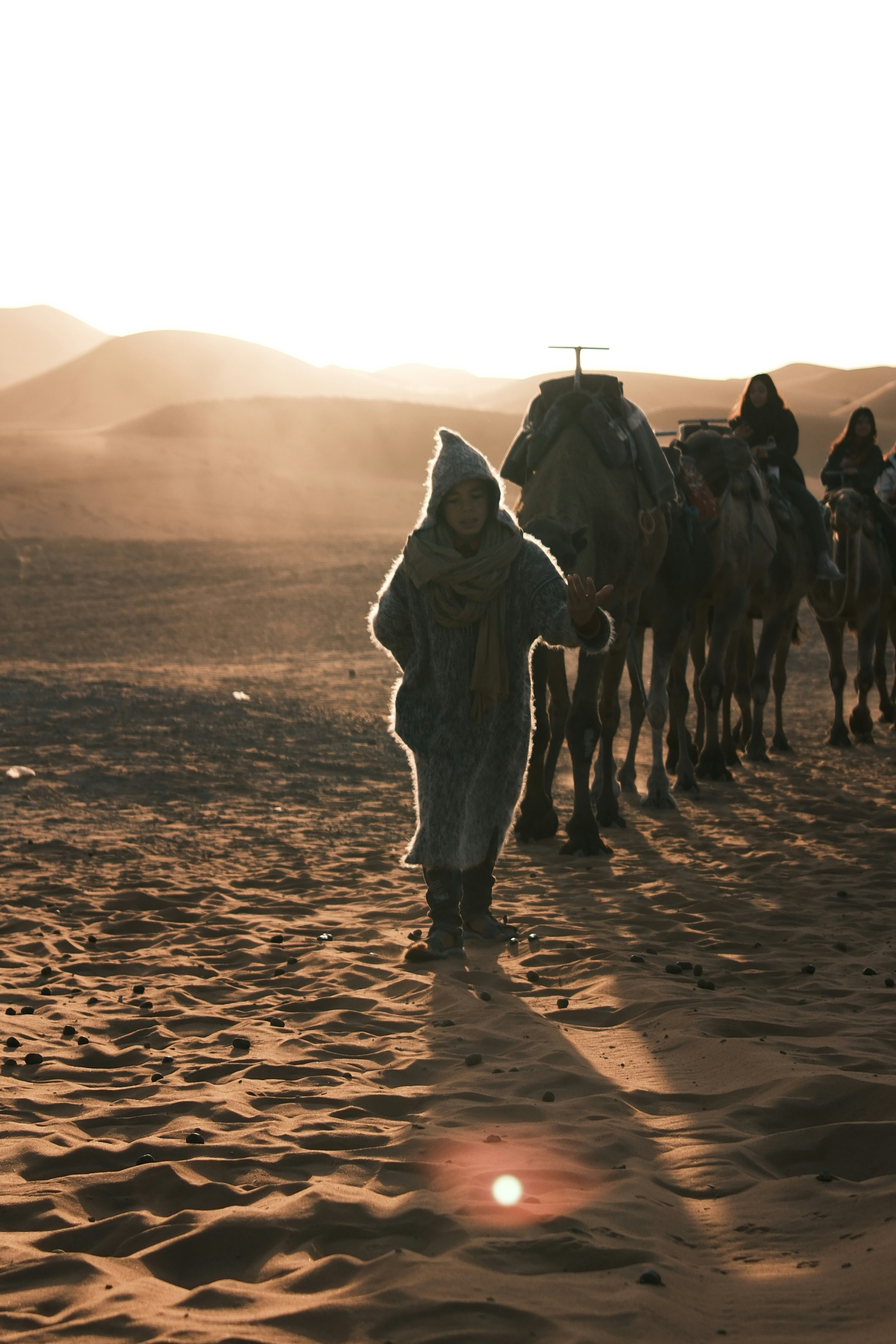 Desert caravan at sunset: a lone figure leads the camel train across wind-swept dunes