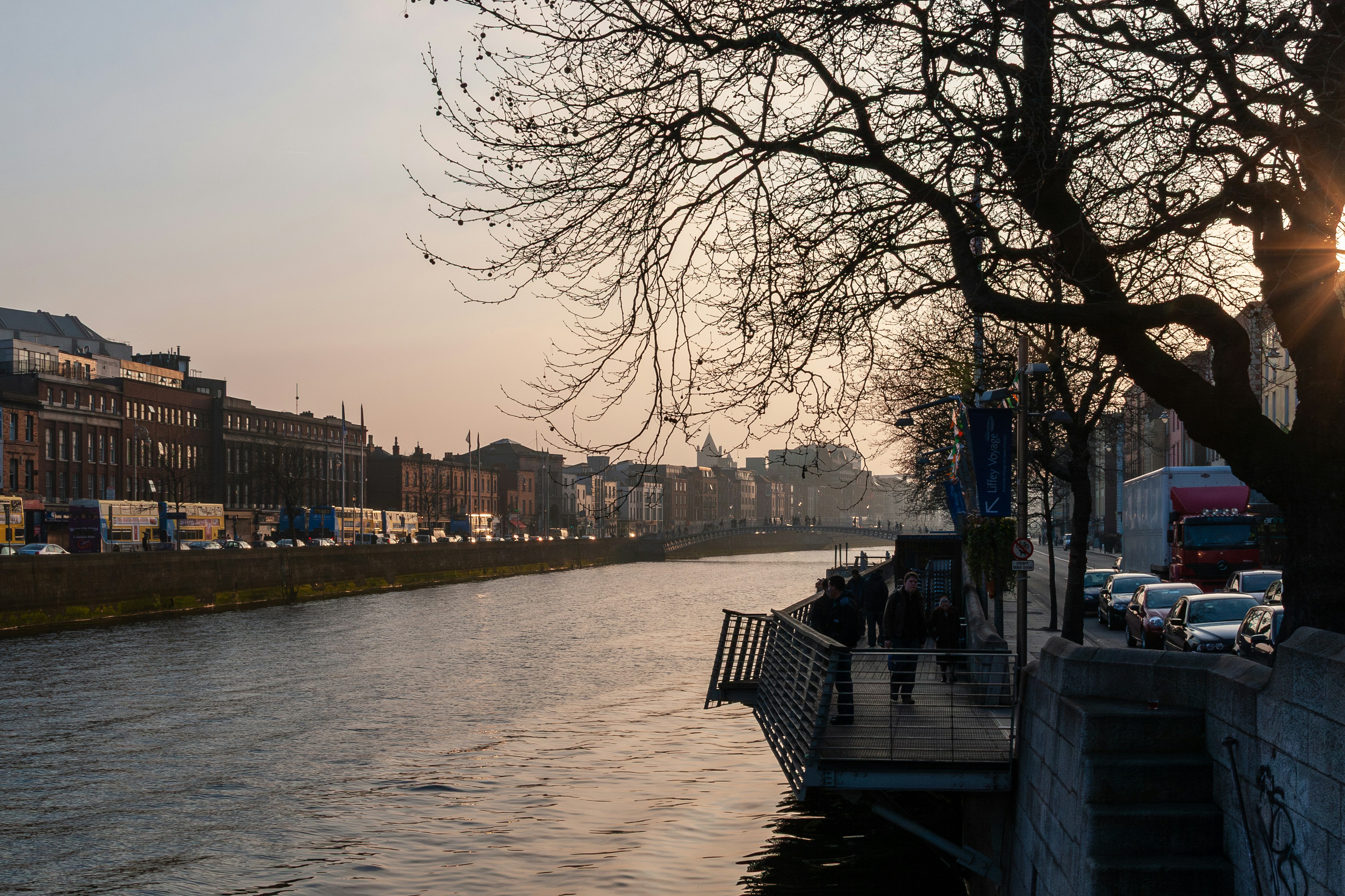 Sunlit riverside promenade with silhouetted branches and distant cityscape