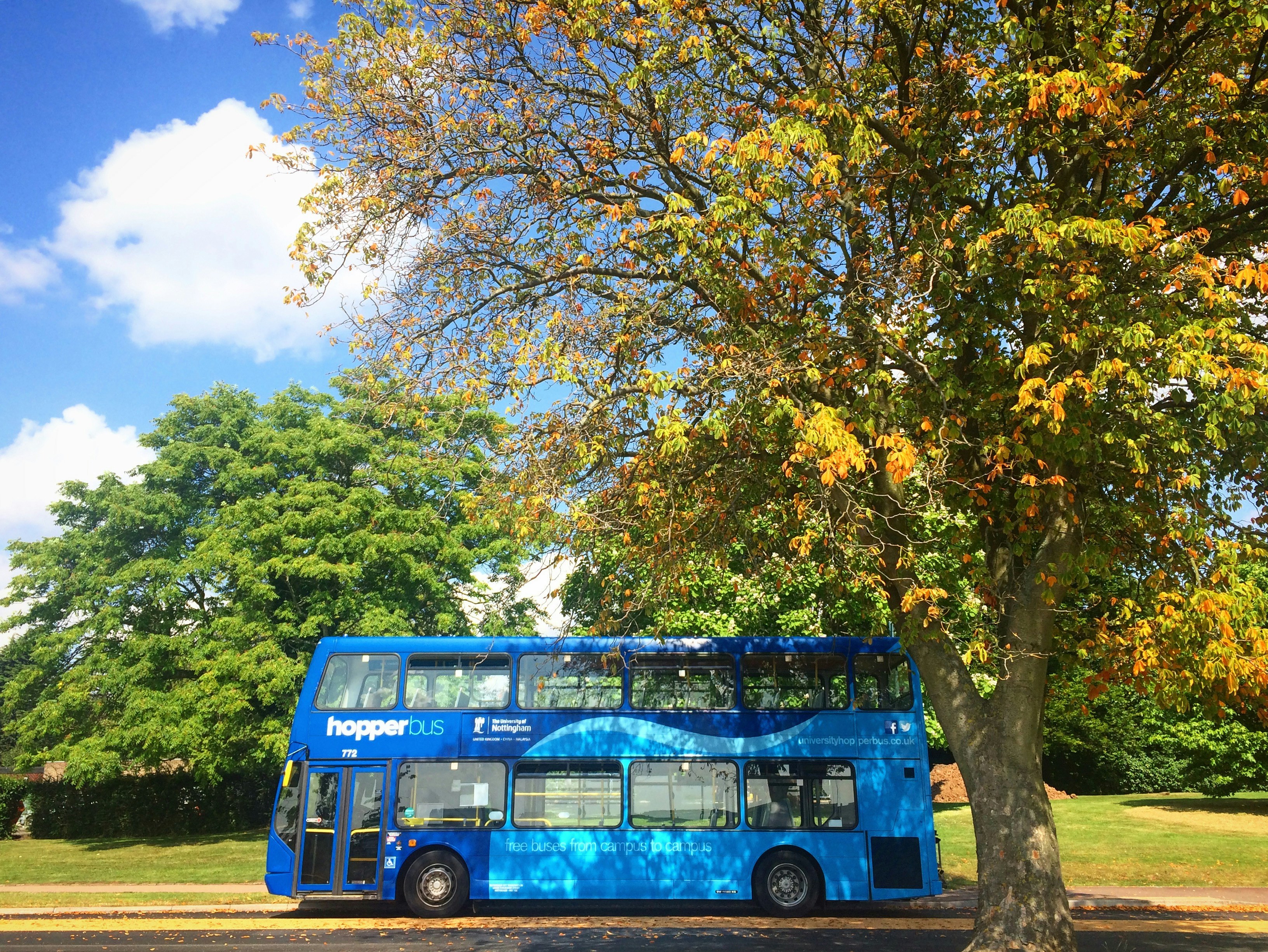Blue City Bus Anchored Under a Spring Tree