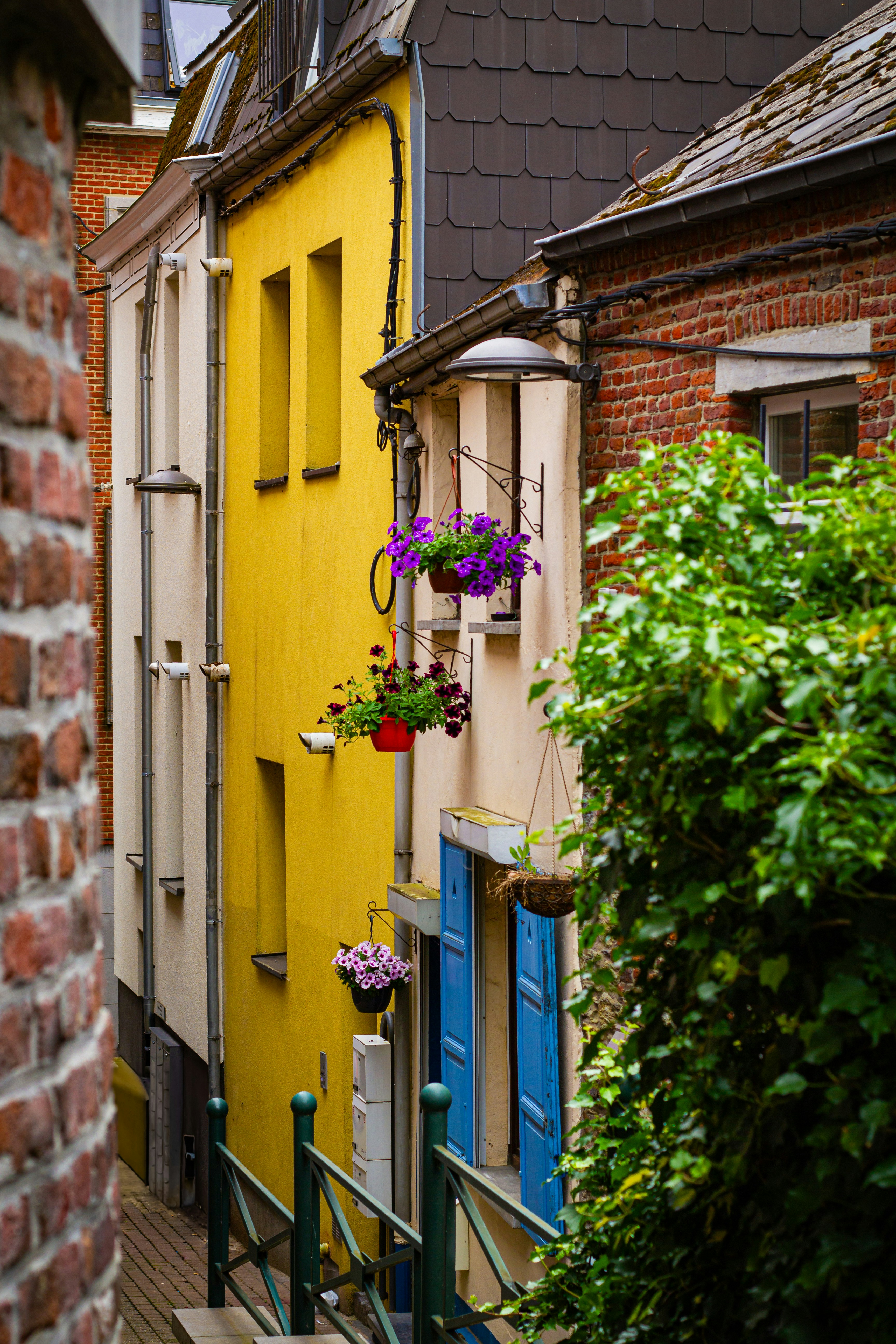 Colorful Alleyway of Blooms and Bright Doors