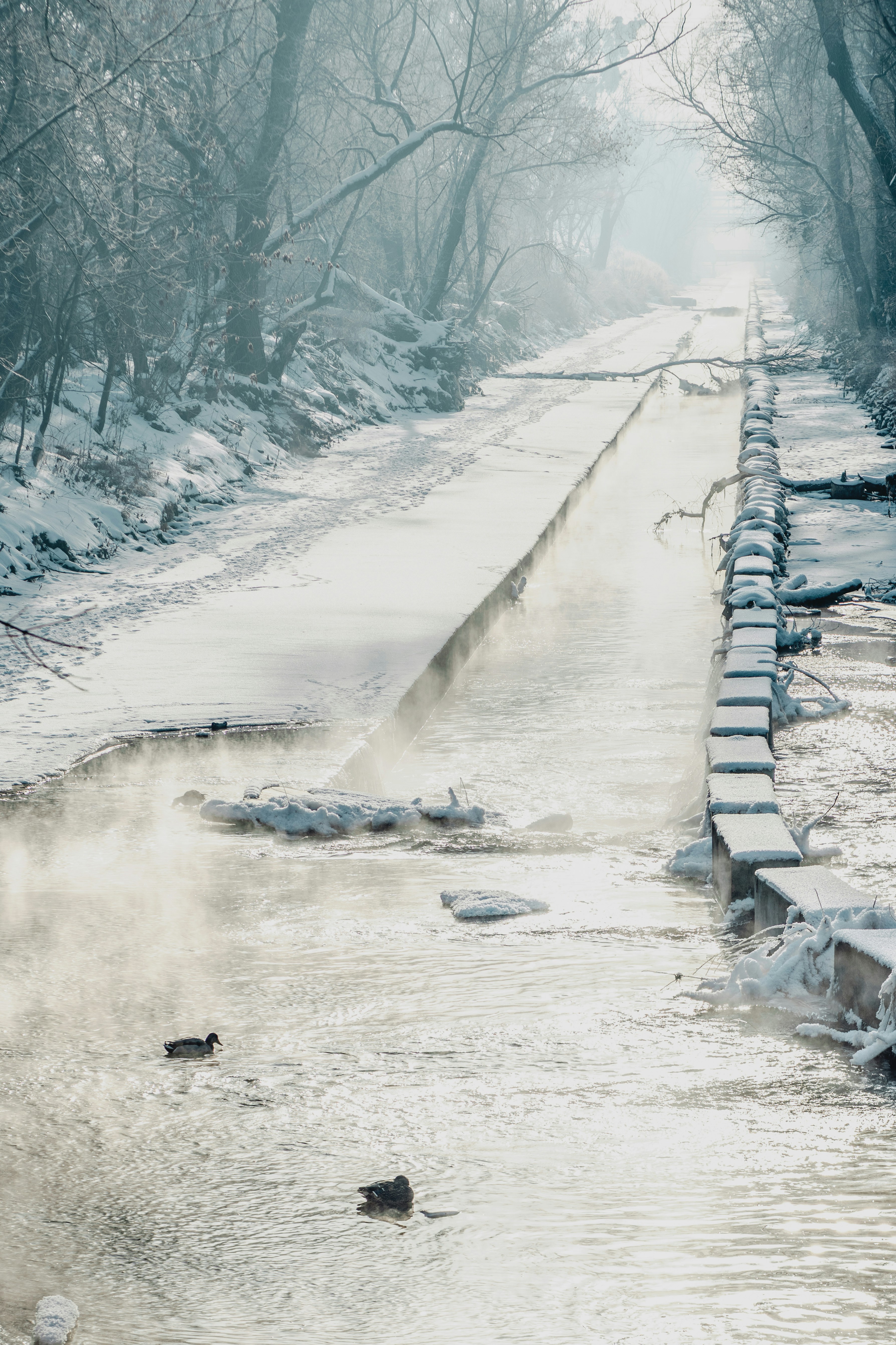 Icy Channel: Steam Veil over a Quiet Snowbound Path