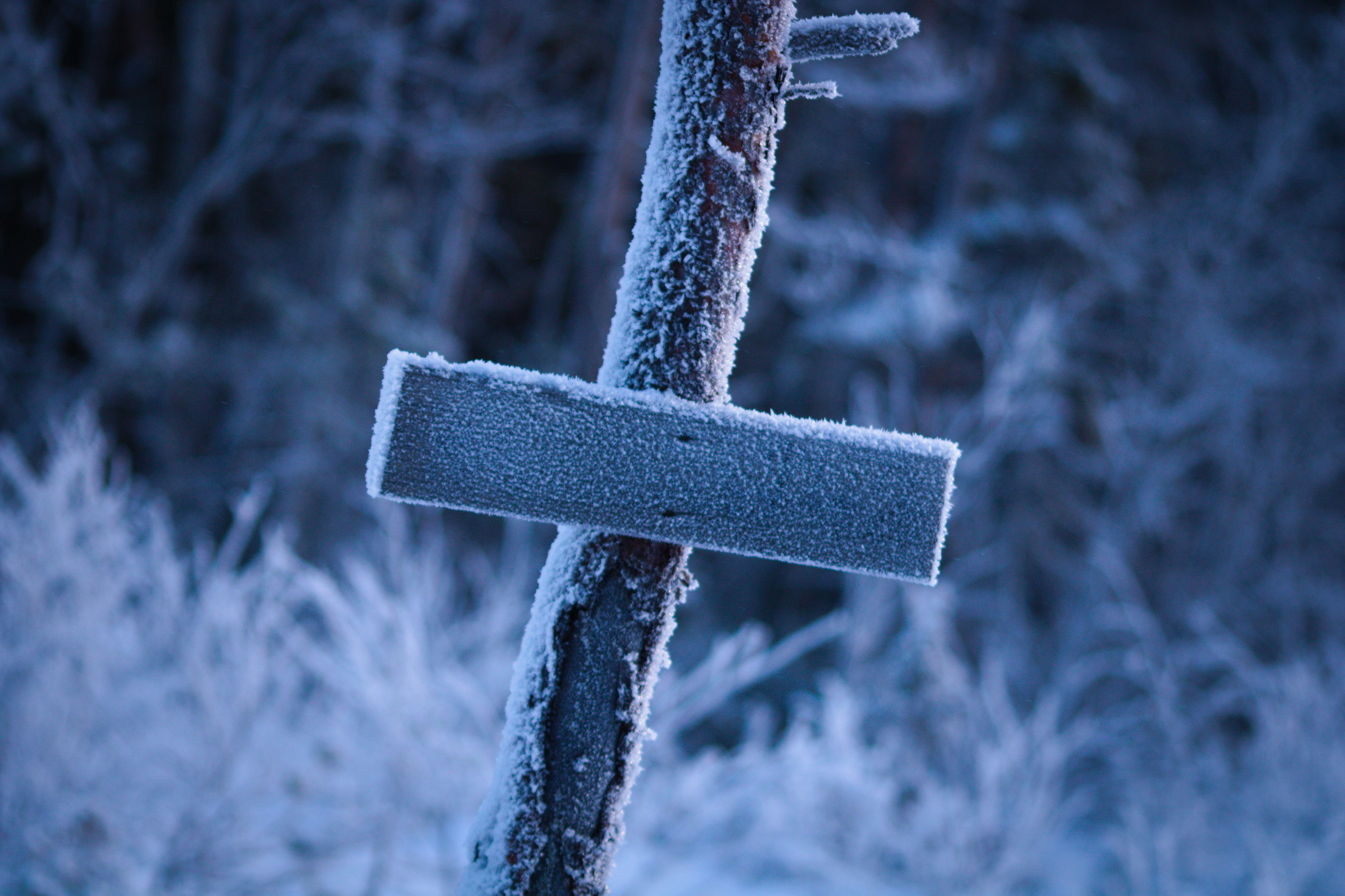 Frost-Cooled Signpost in a Quiet Winter Patch