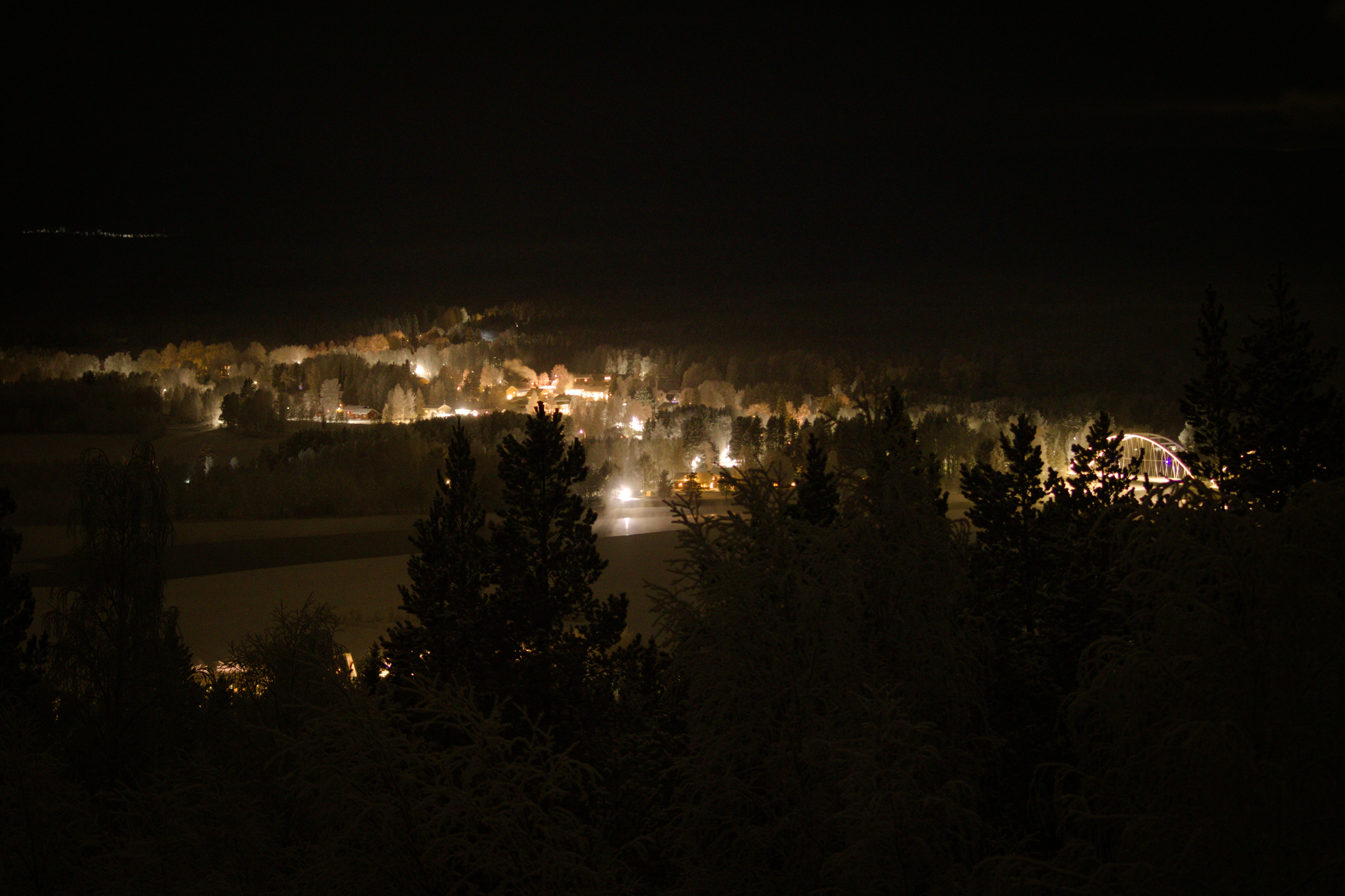 Night Valley Lights: Quiet Village Awake Beneath Dark Pines