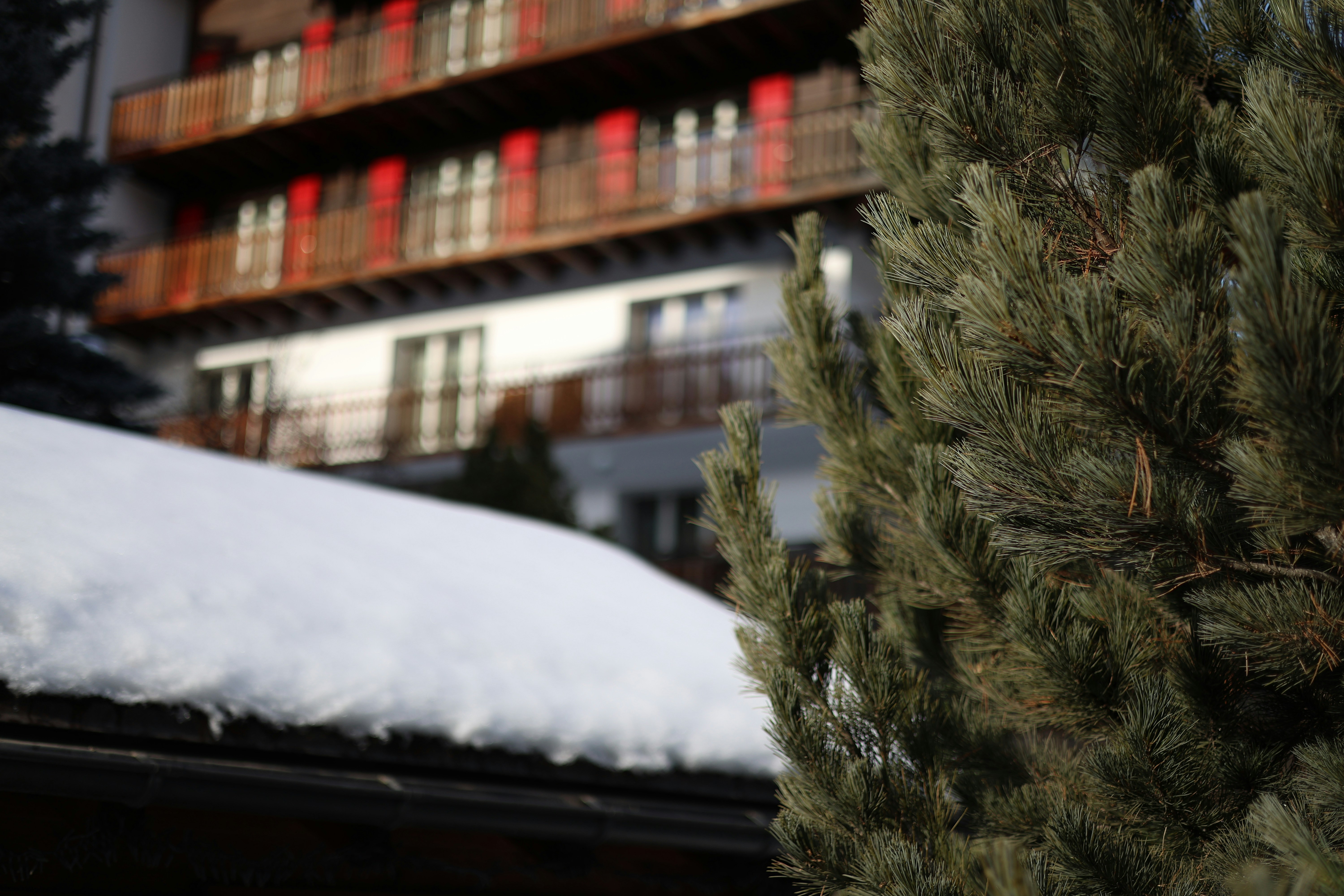 Snow Lid and Pine Veil Before Chalet Facade