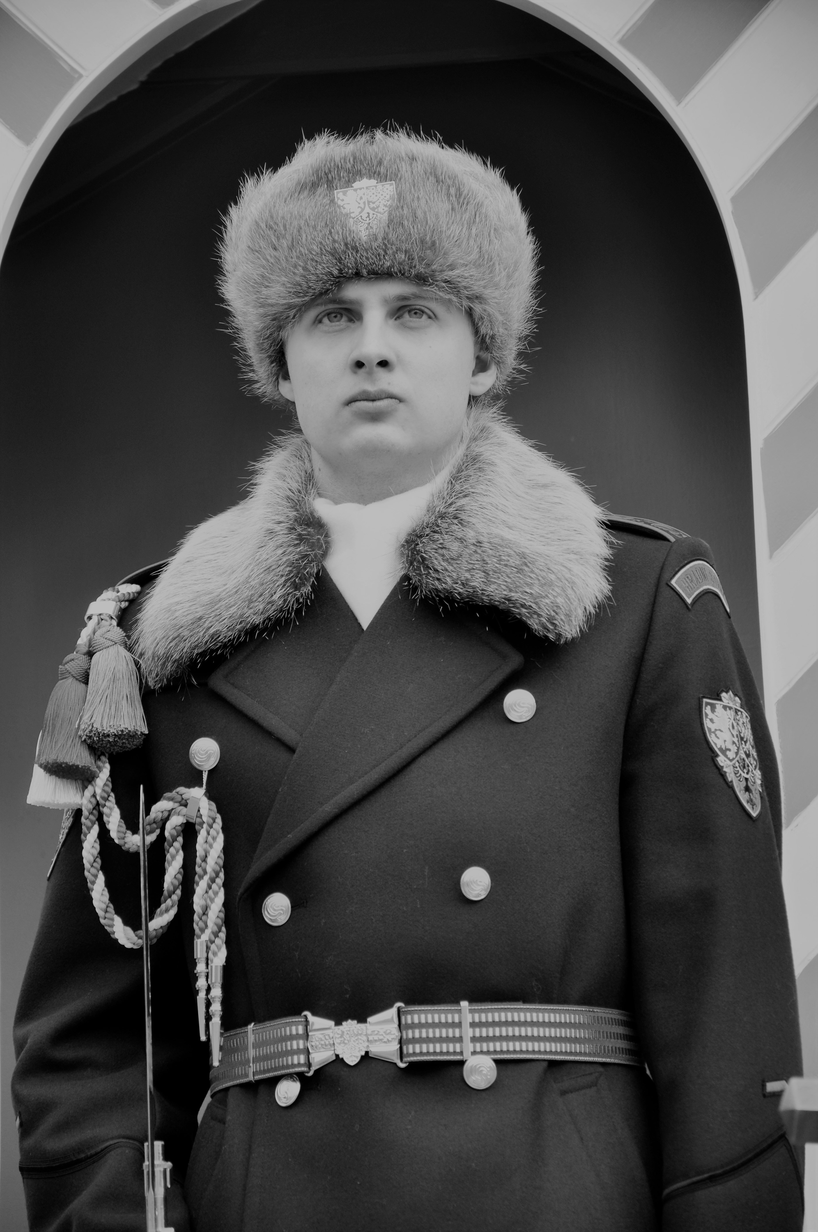 Winter Parade Guard: Portrait of a Ceremonial Soldier in Fur-Trimmed Attire