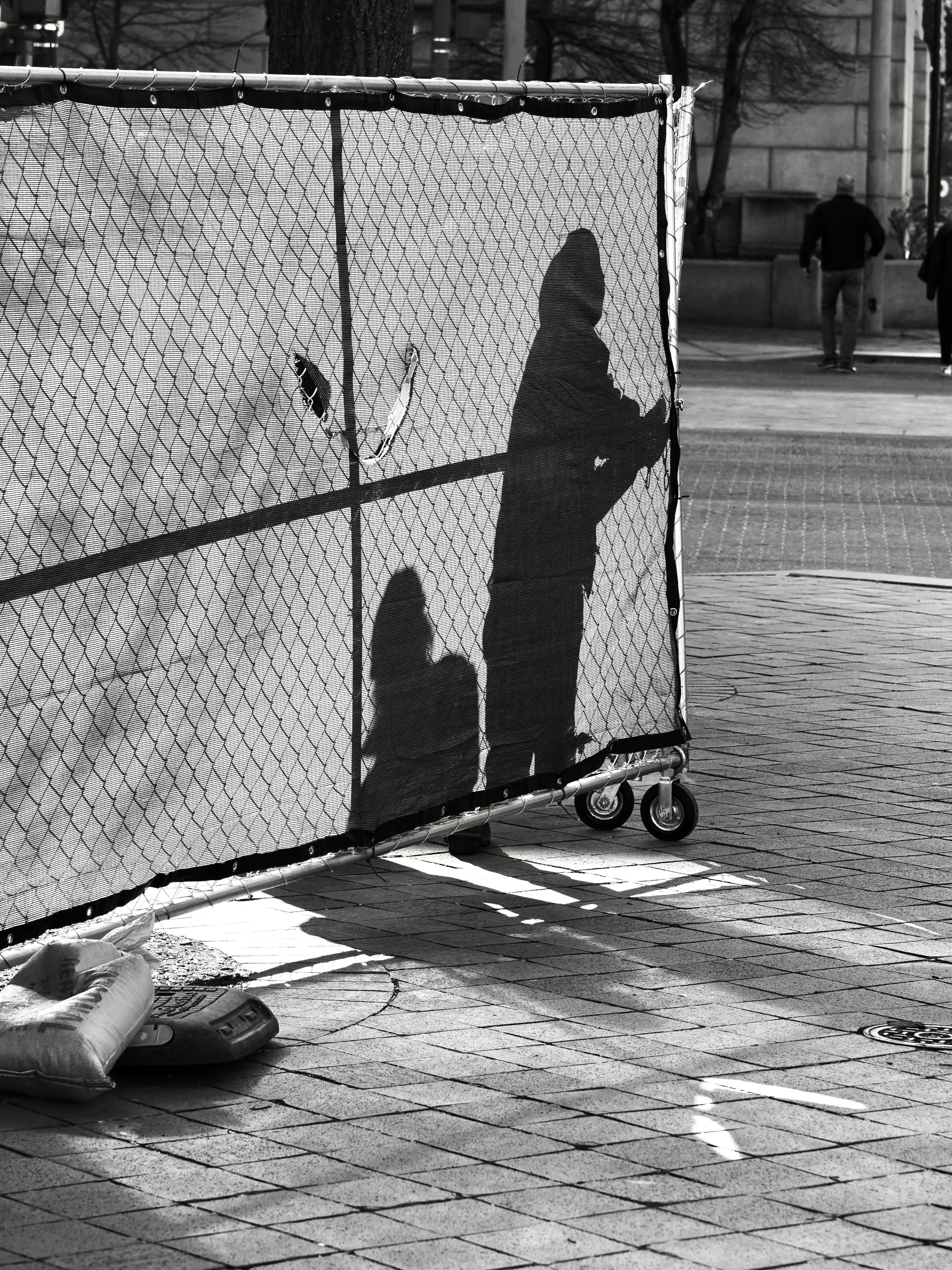 Shadows on a Fence: Silhouettes at the Park Edge