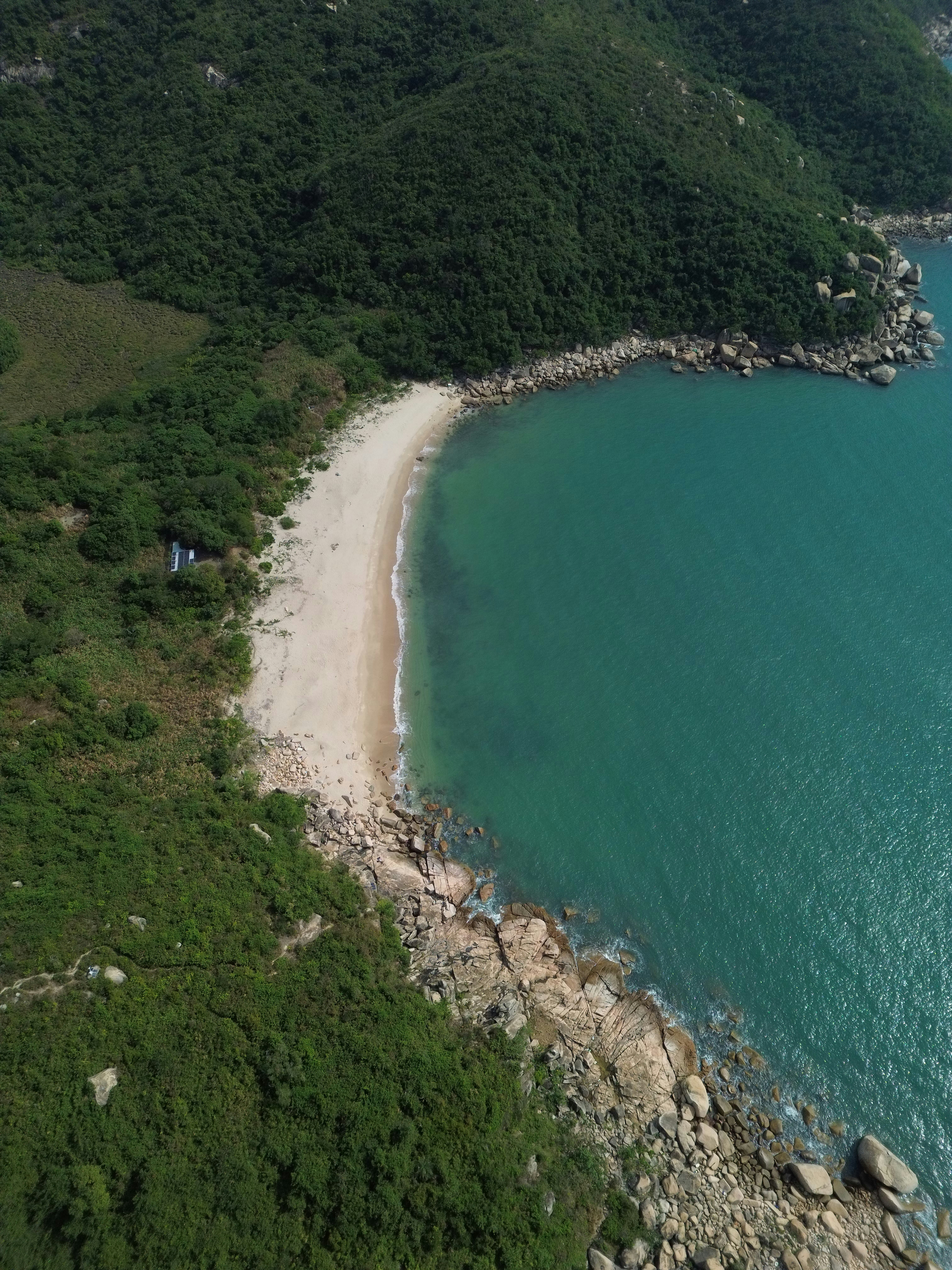 Coastal Curve: Aerial Beachside Amid Forested Cliff