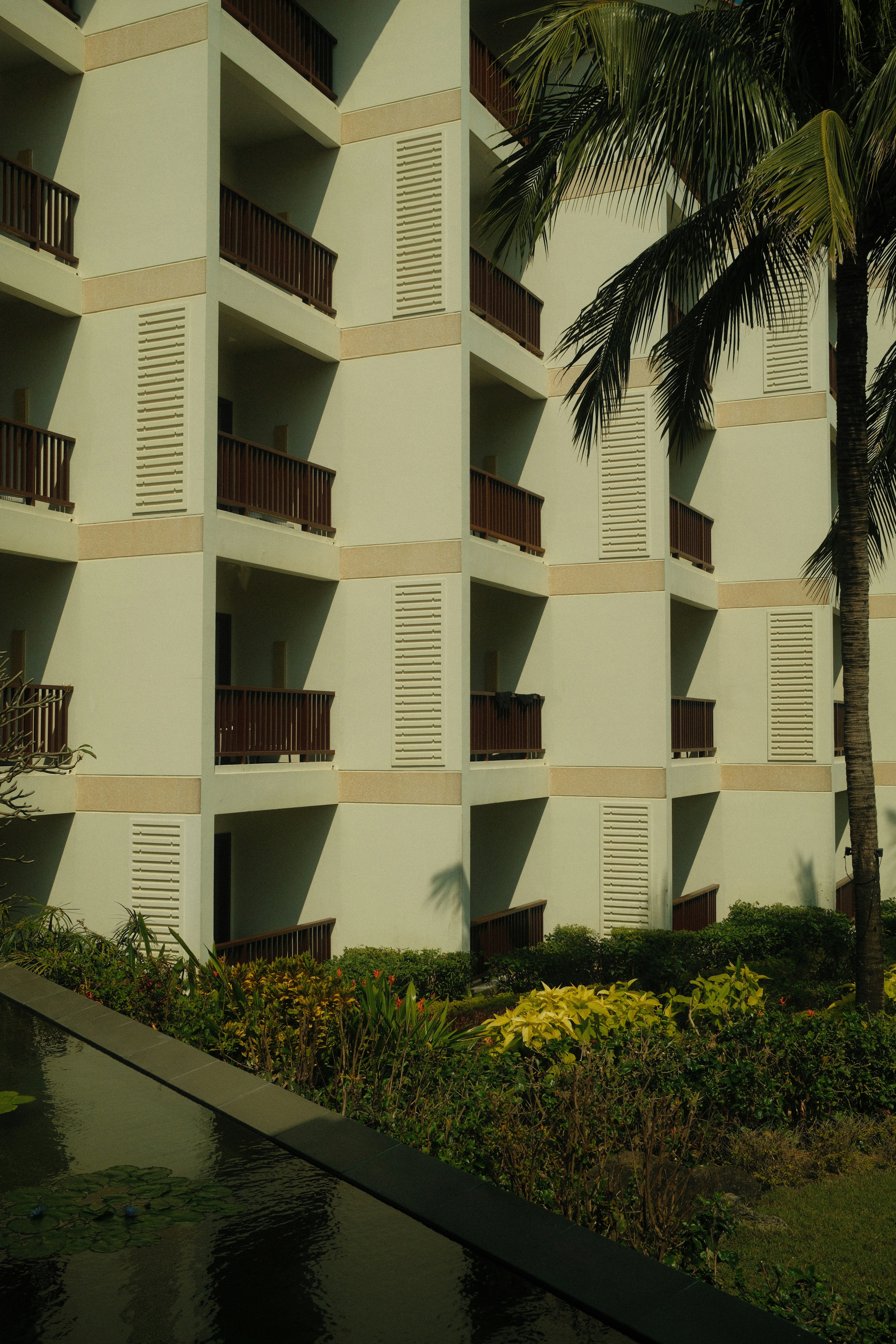 Sunlit Resort Facade: Repeating Balconies and Palm Shadow