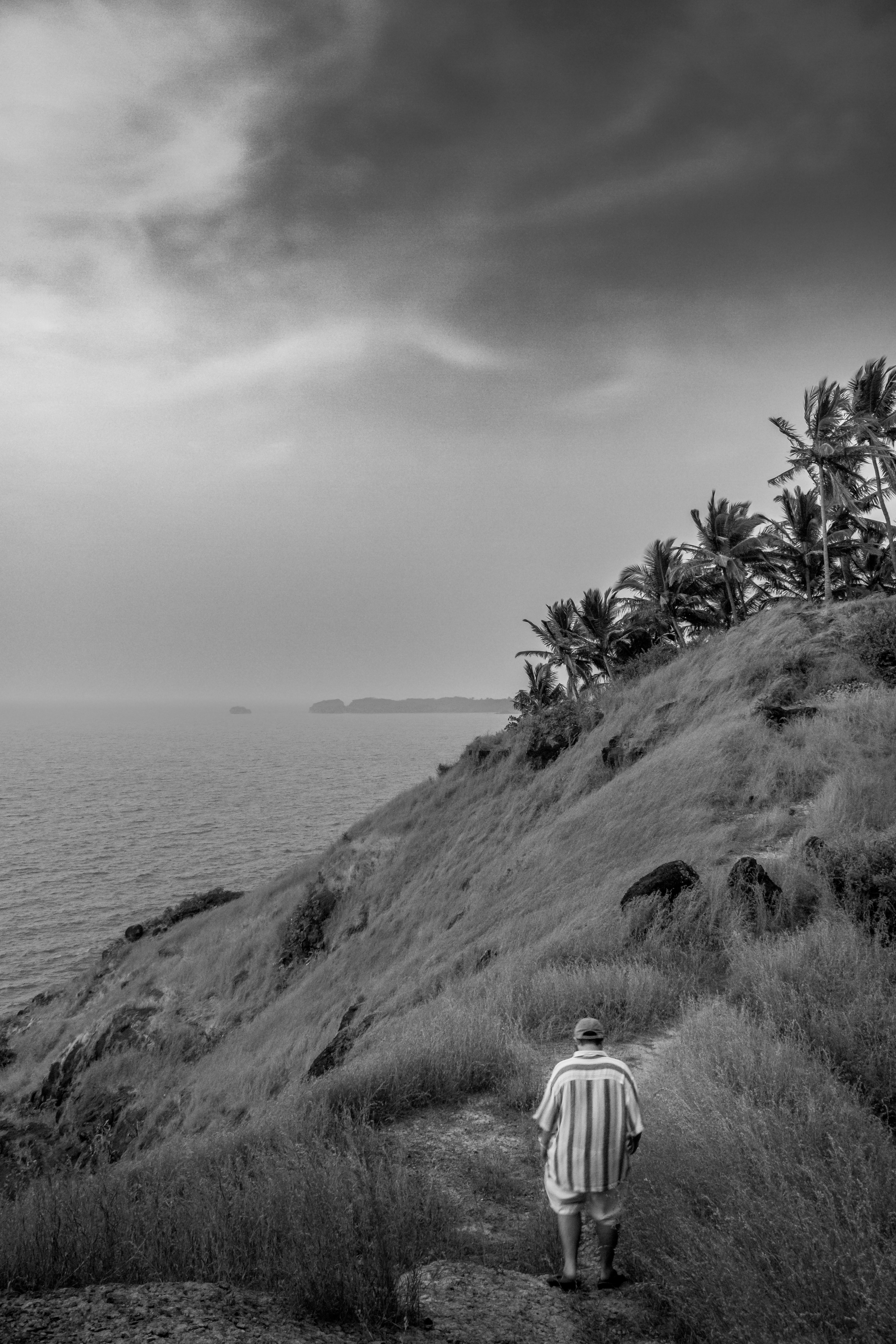 Along the Cliff Path: A Stride Toward the Sea