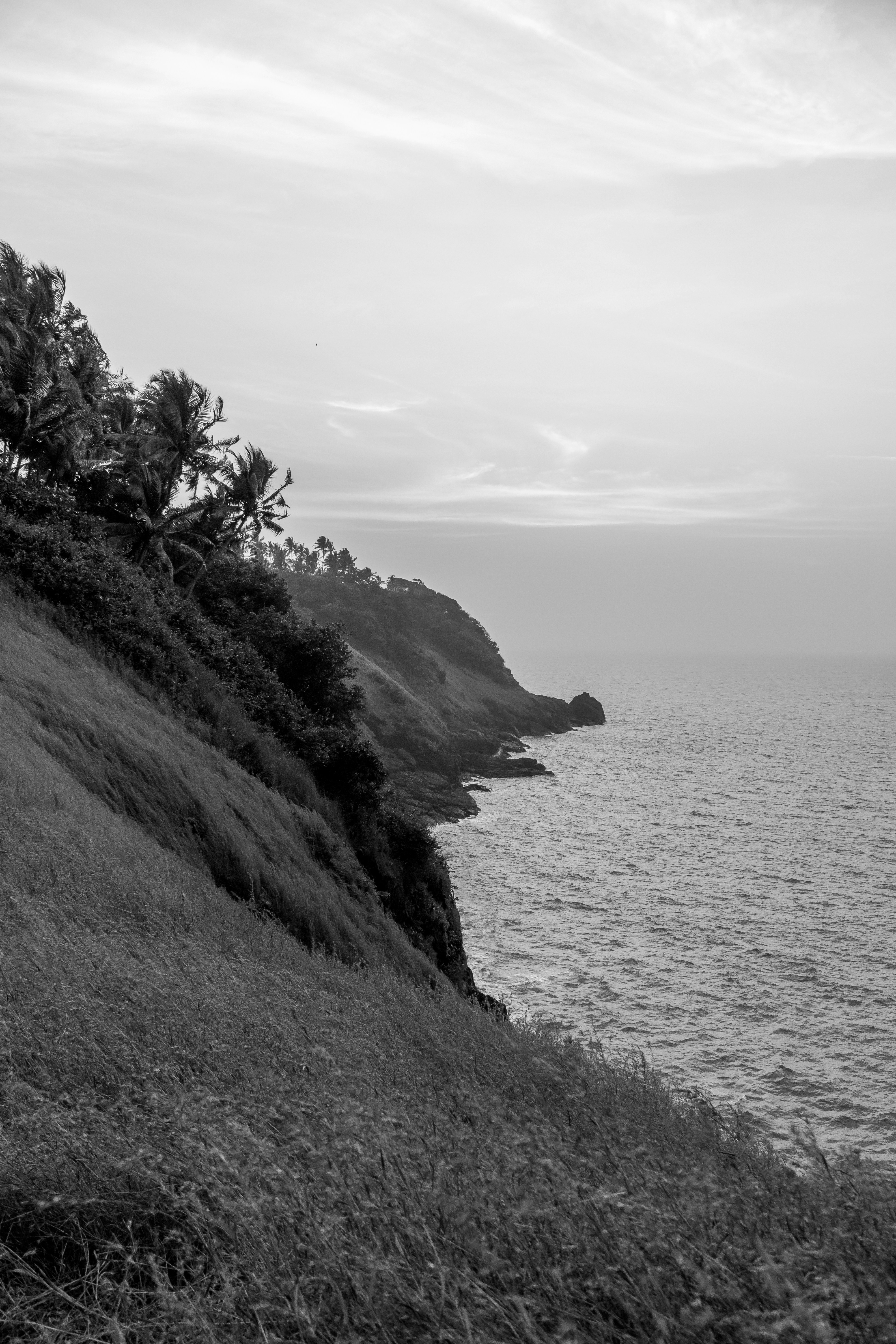 Cliffside Coastline Gulls of Silence