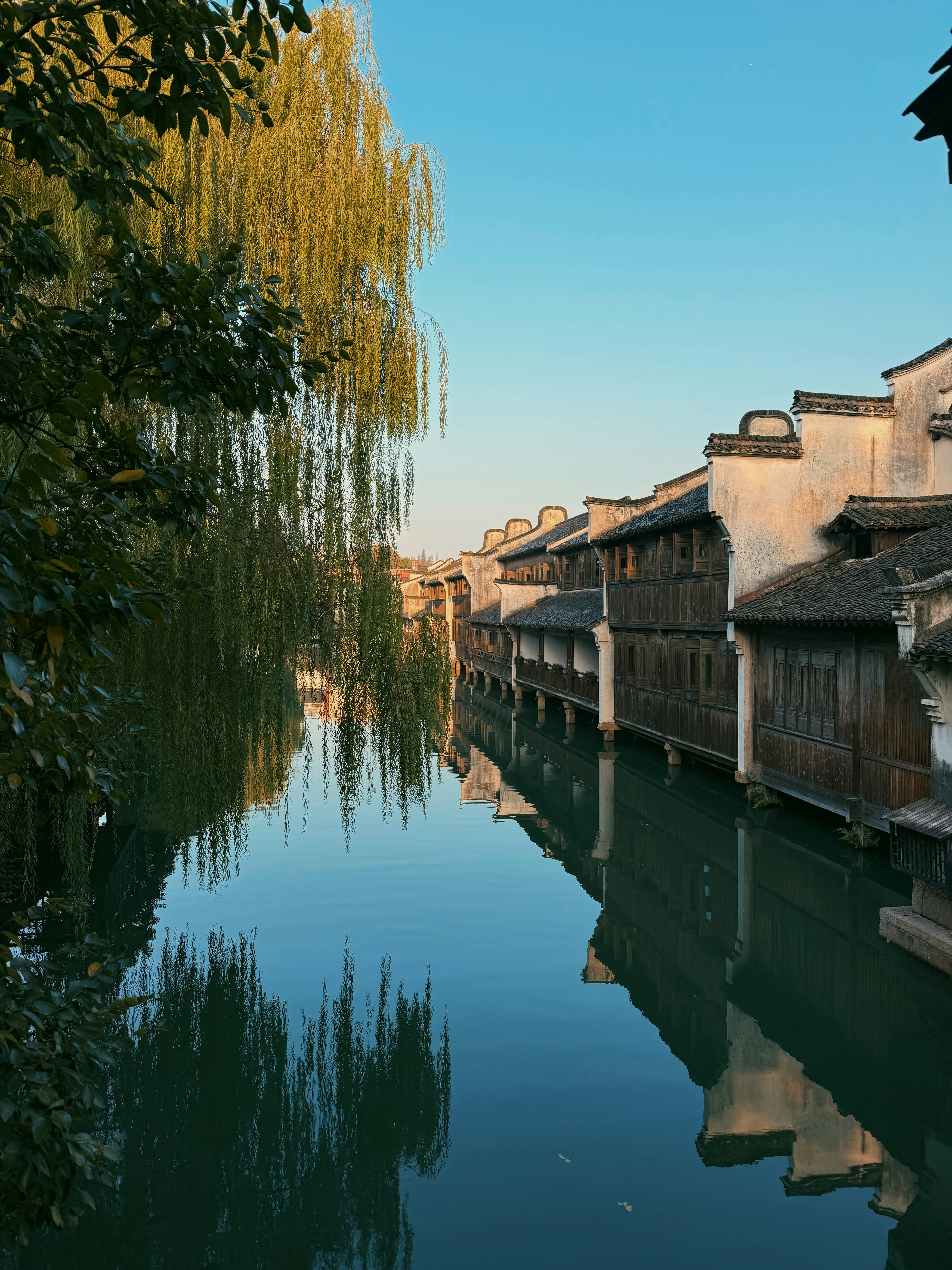 Old buildings line a calm canal with willow tree reflection. photo ...