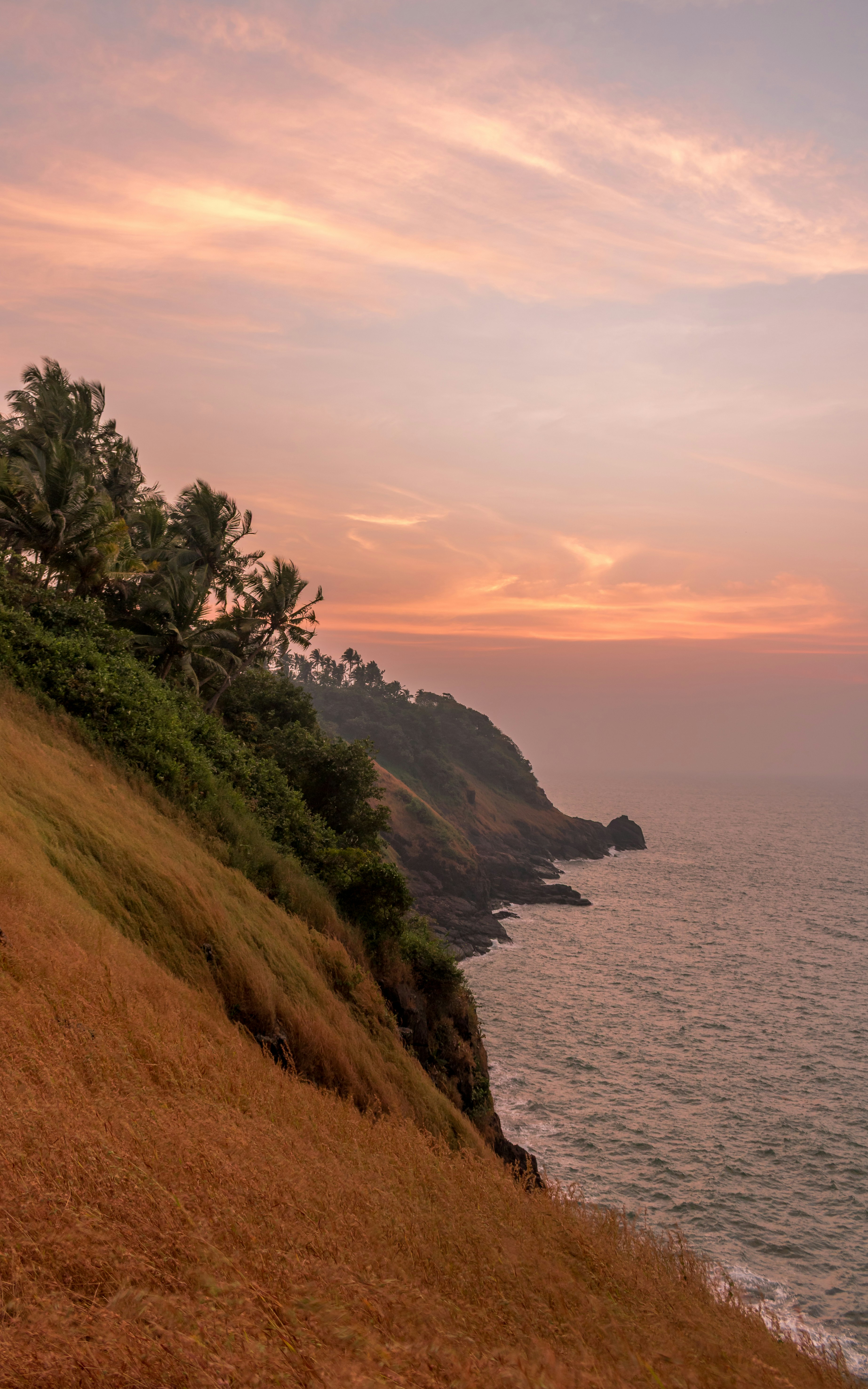 Sunset Cliffside: Golden Grass and Ocean Edge
