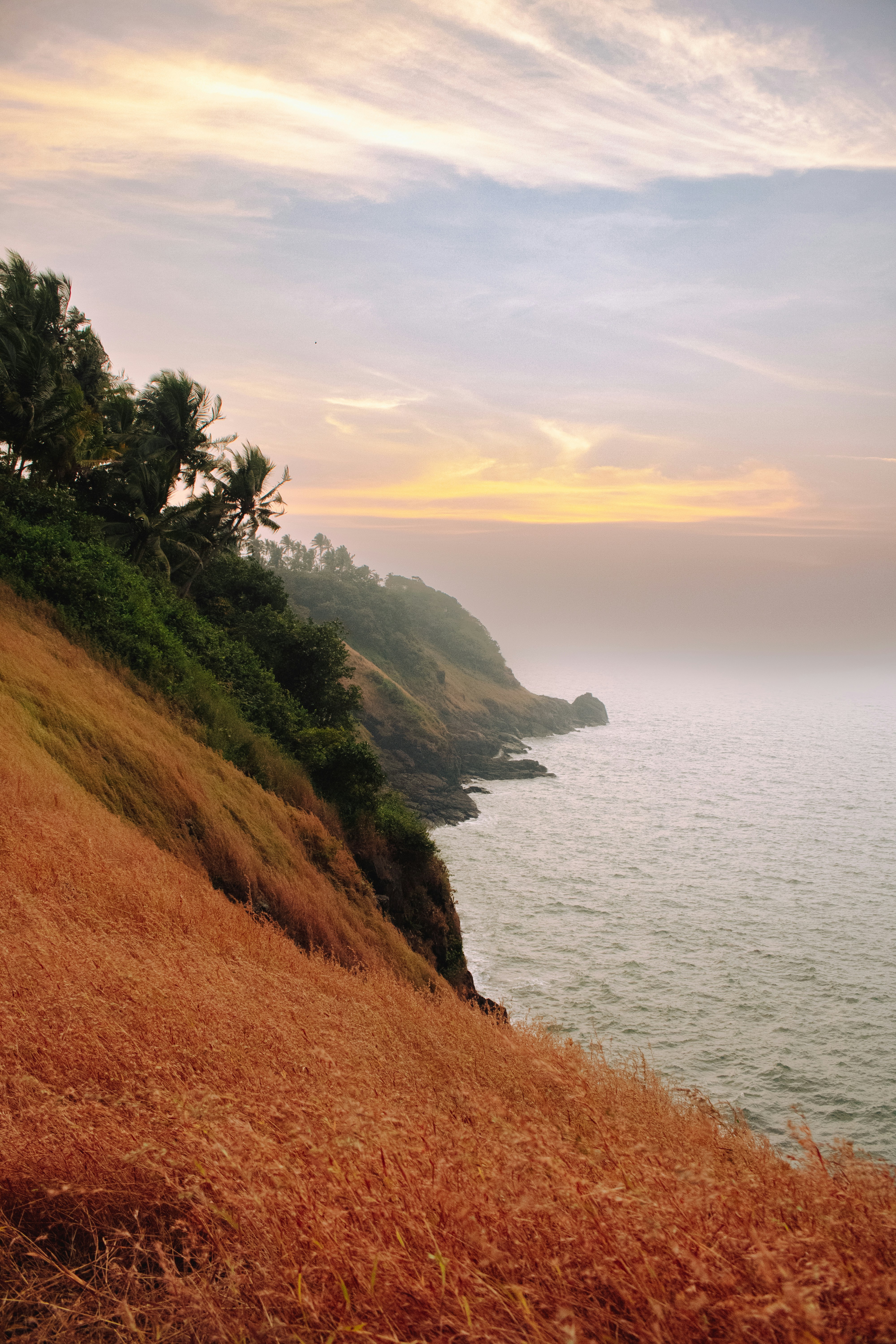 Sunset Cliffs: Golden Grass meeting the Pacific Edge