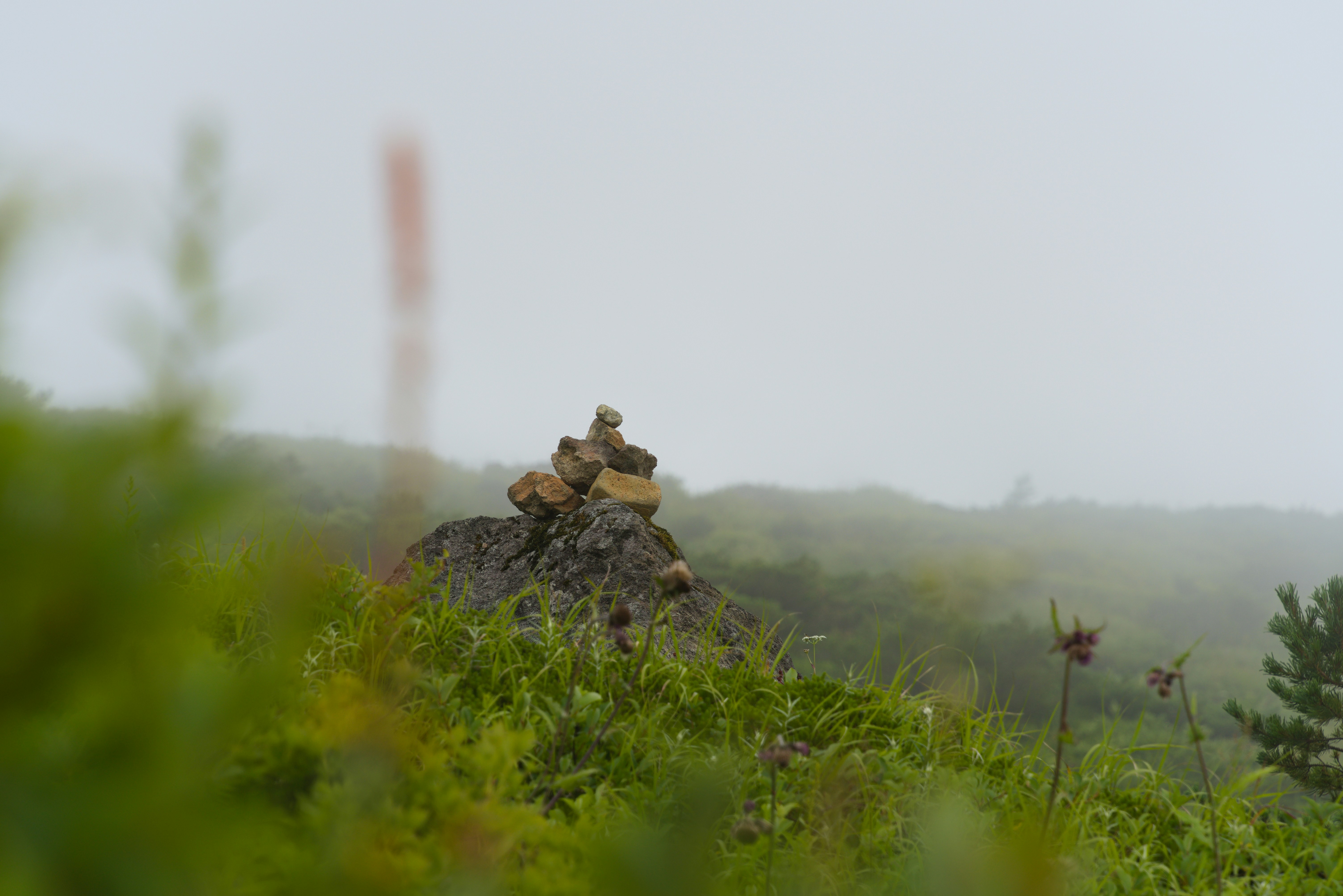 Stacked Stones on a Mossy Outcrop in a Misty Moor