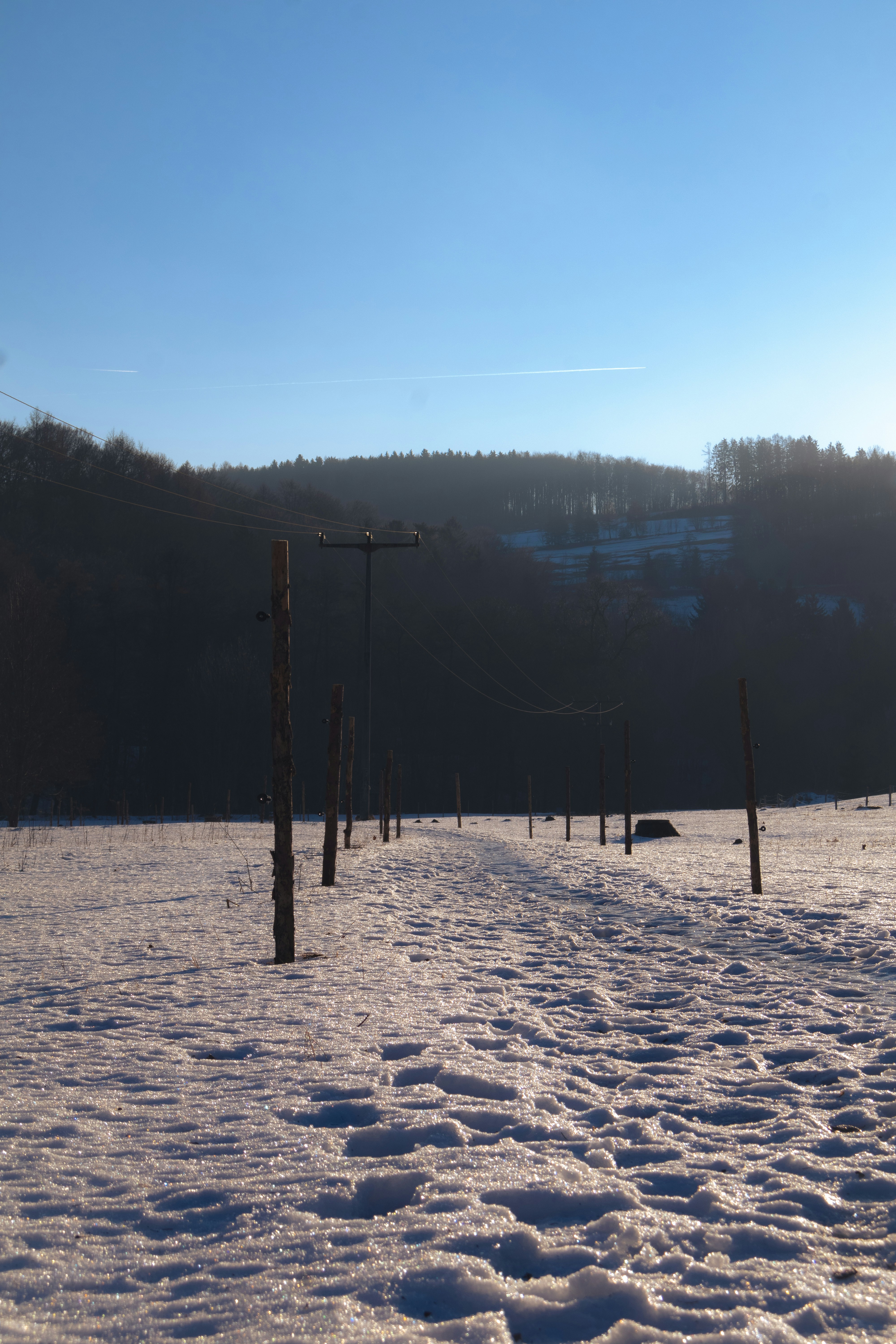 Snowfield Rows: Echoes of Power Lines Under a Clear Winter Sky