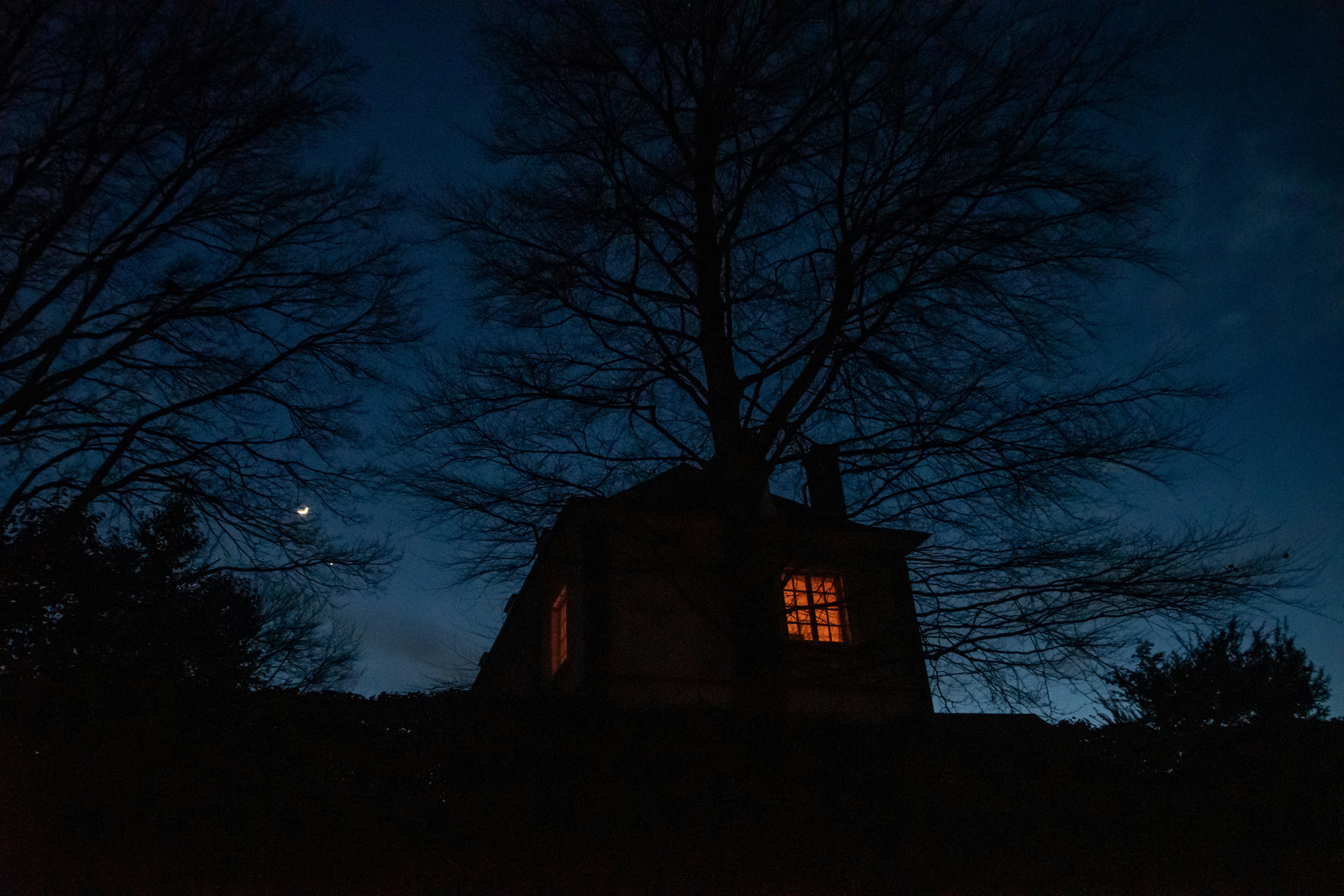 Moonlit House: A Quiet Night Behind The Silhouetted Tree
