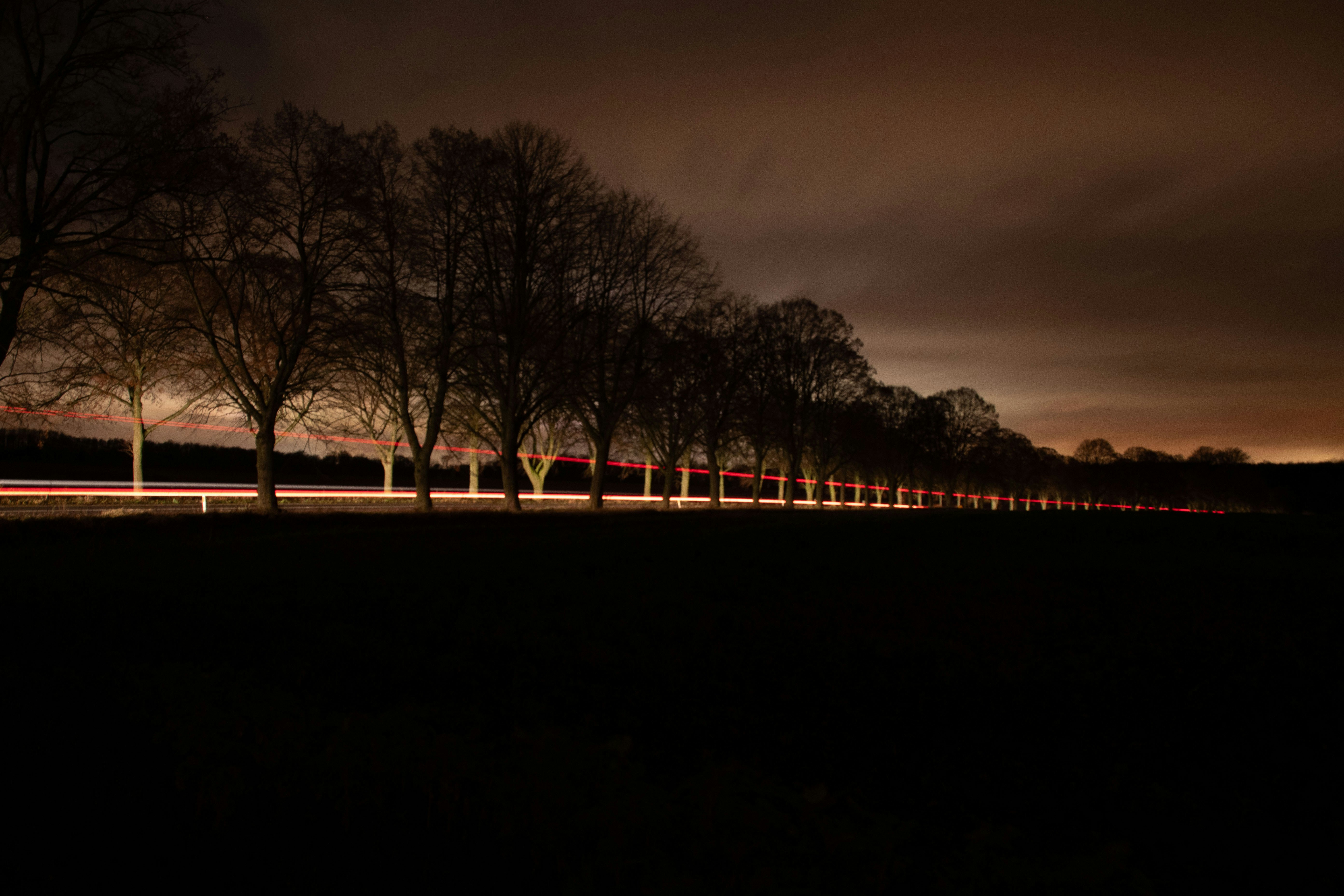 Line of Quiet Fire: Evening Lamps Along the Long Road