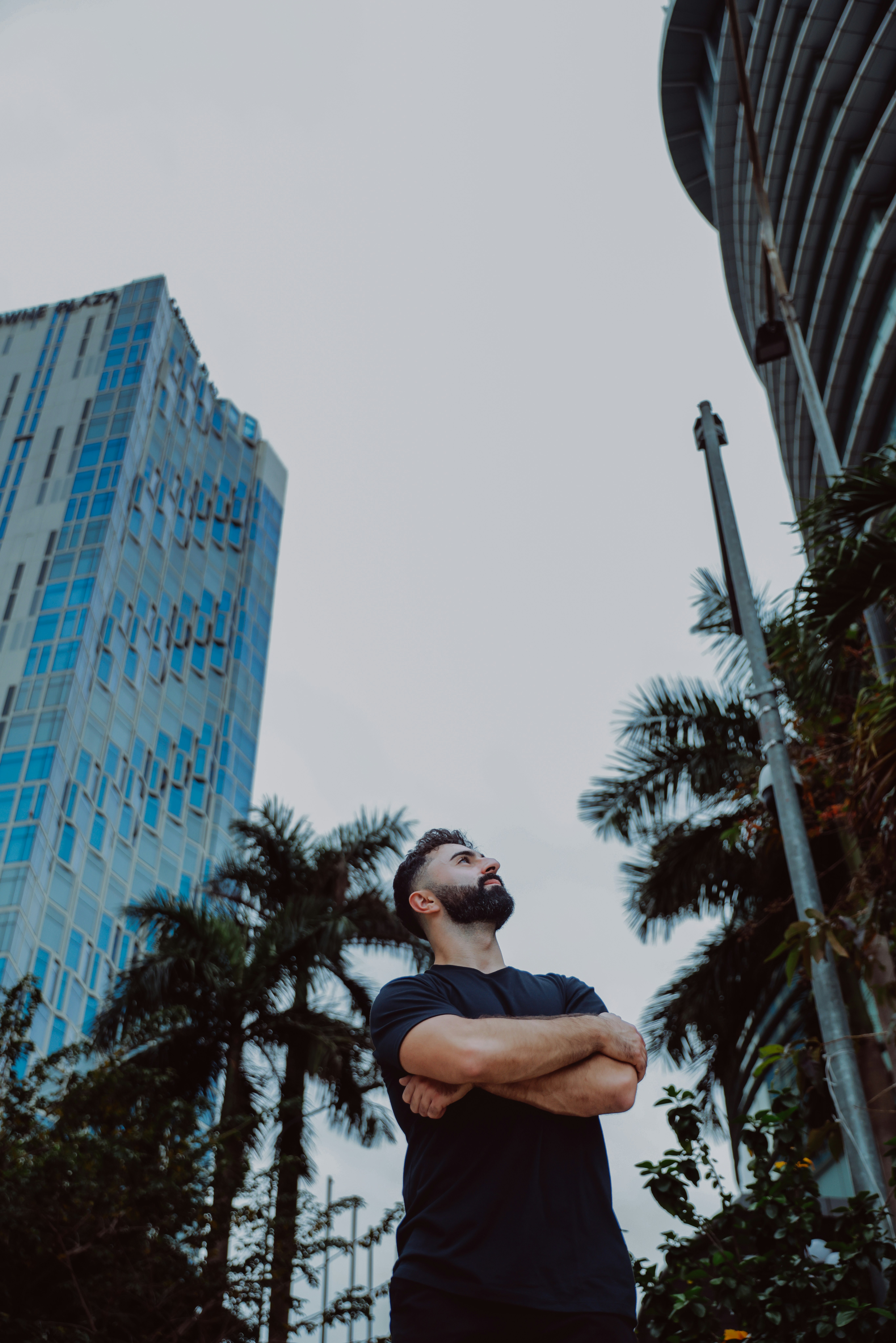 Urban Gaze: A Man Stands Firm Beneath Skyscrapers and Palm Shadows