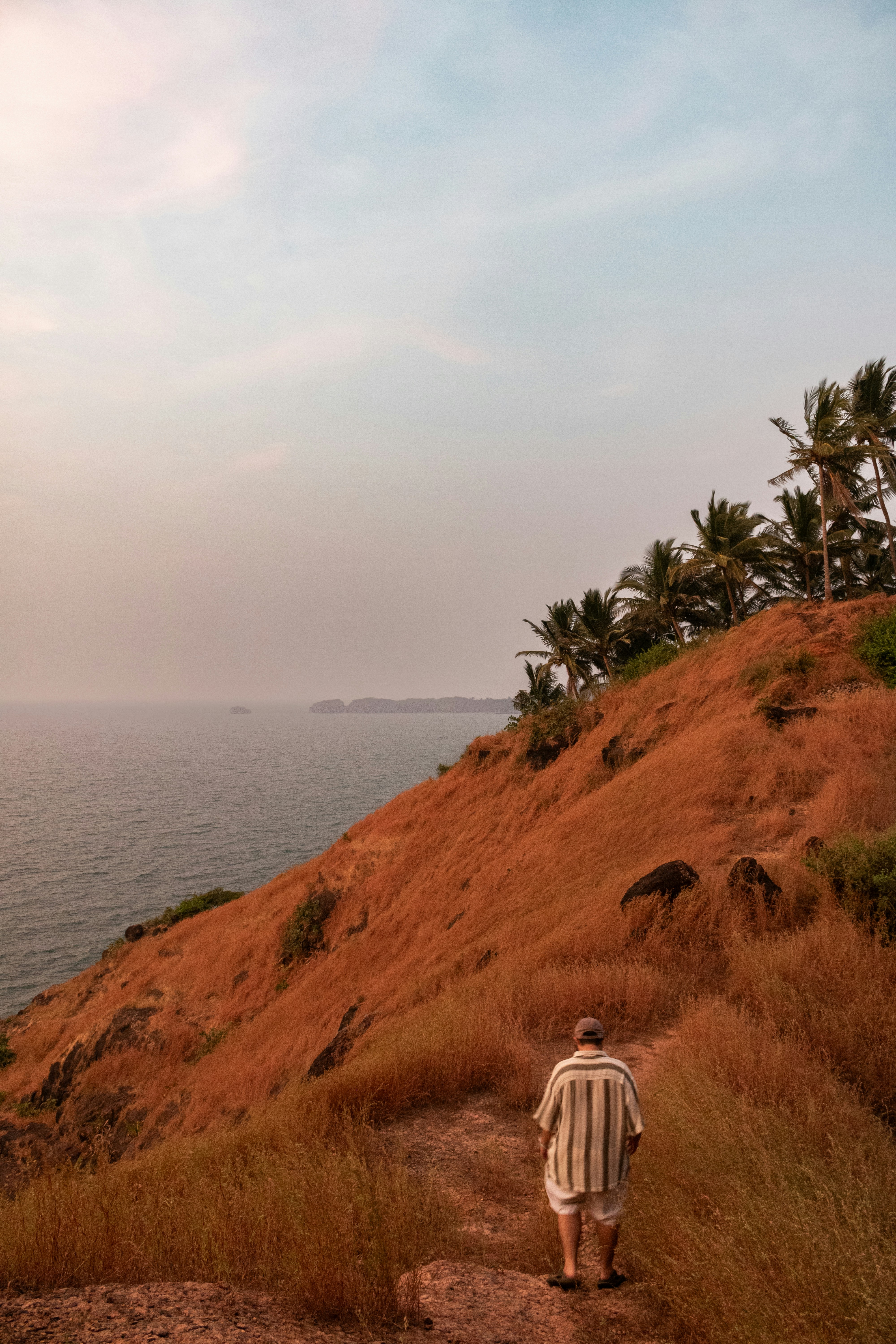 Path of the Seabreeze: A solitary wanderer along a sunlit hillside