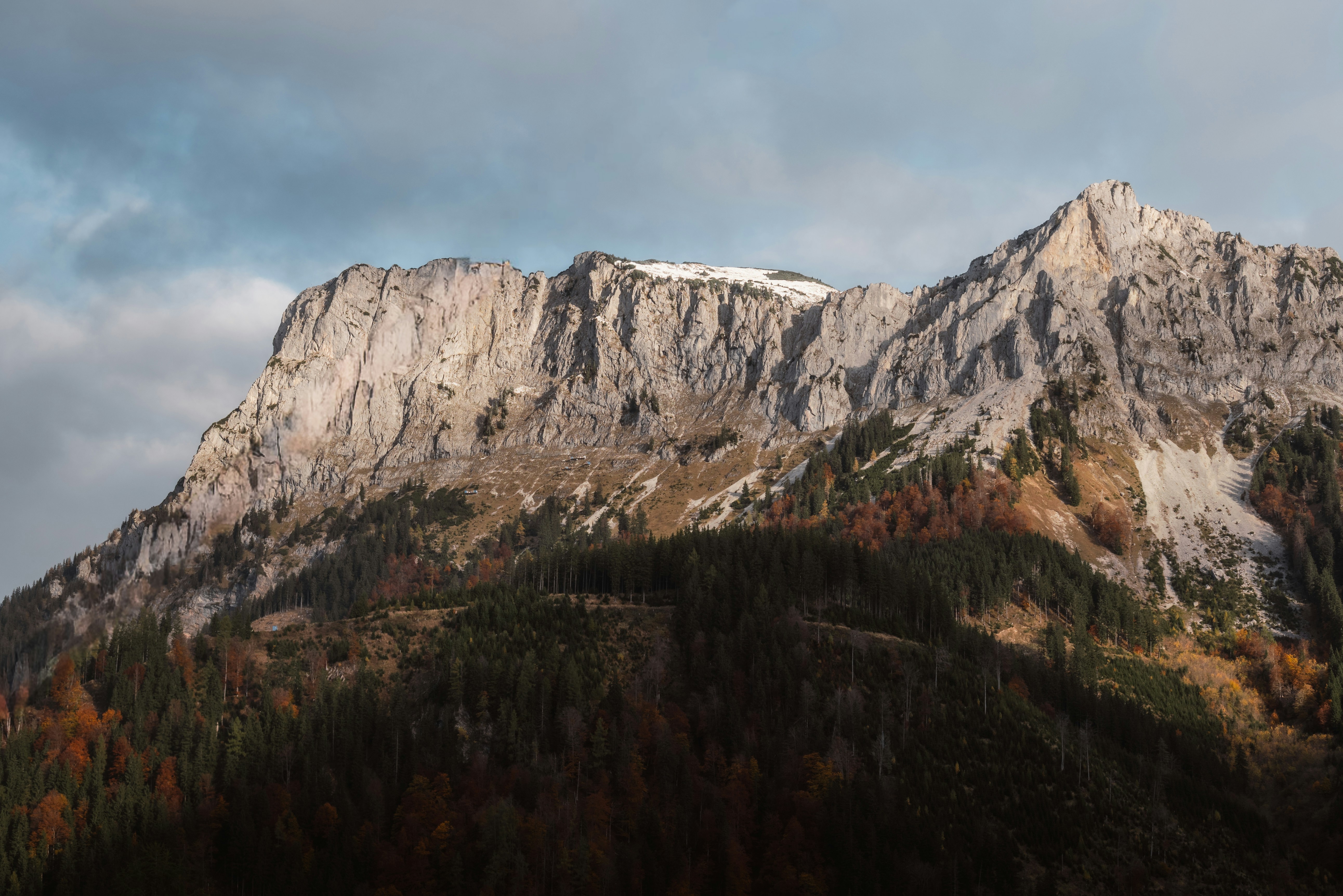 Cordillera escarpada con árboles abajo foto – Imagen de Bosque gratuita ...